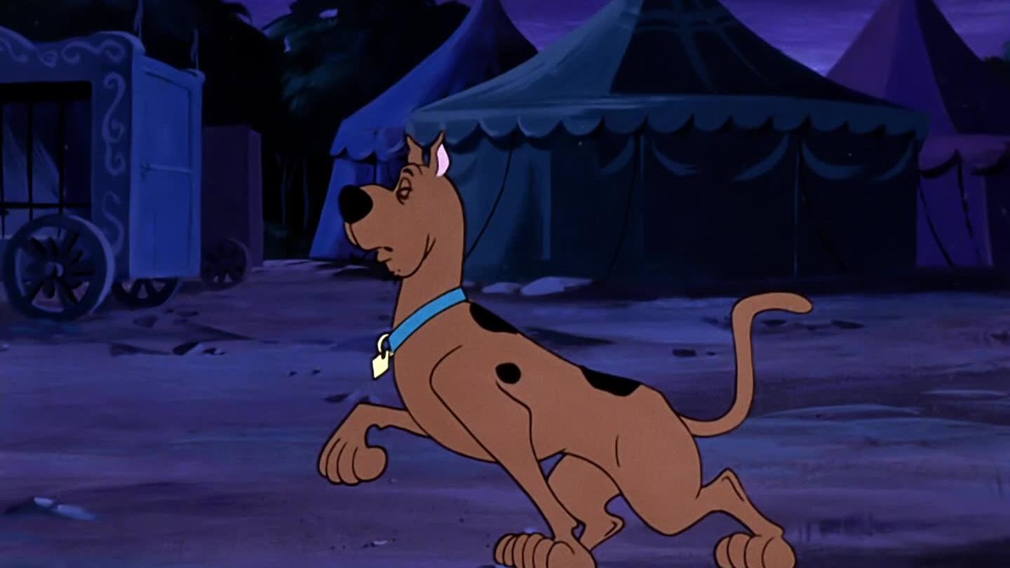 Back up there, Simba! Roll over, Simba! Shaggy! - Scooby-Doo, Where Are ...