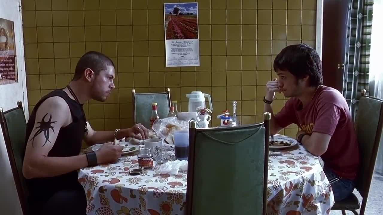 Being tough won't make you smart. - Amores Perros | Clip.Cafe