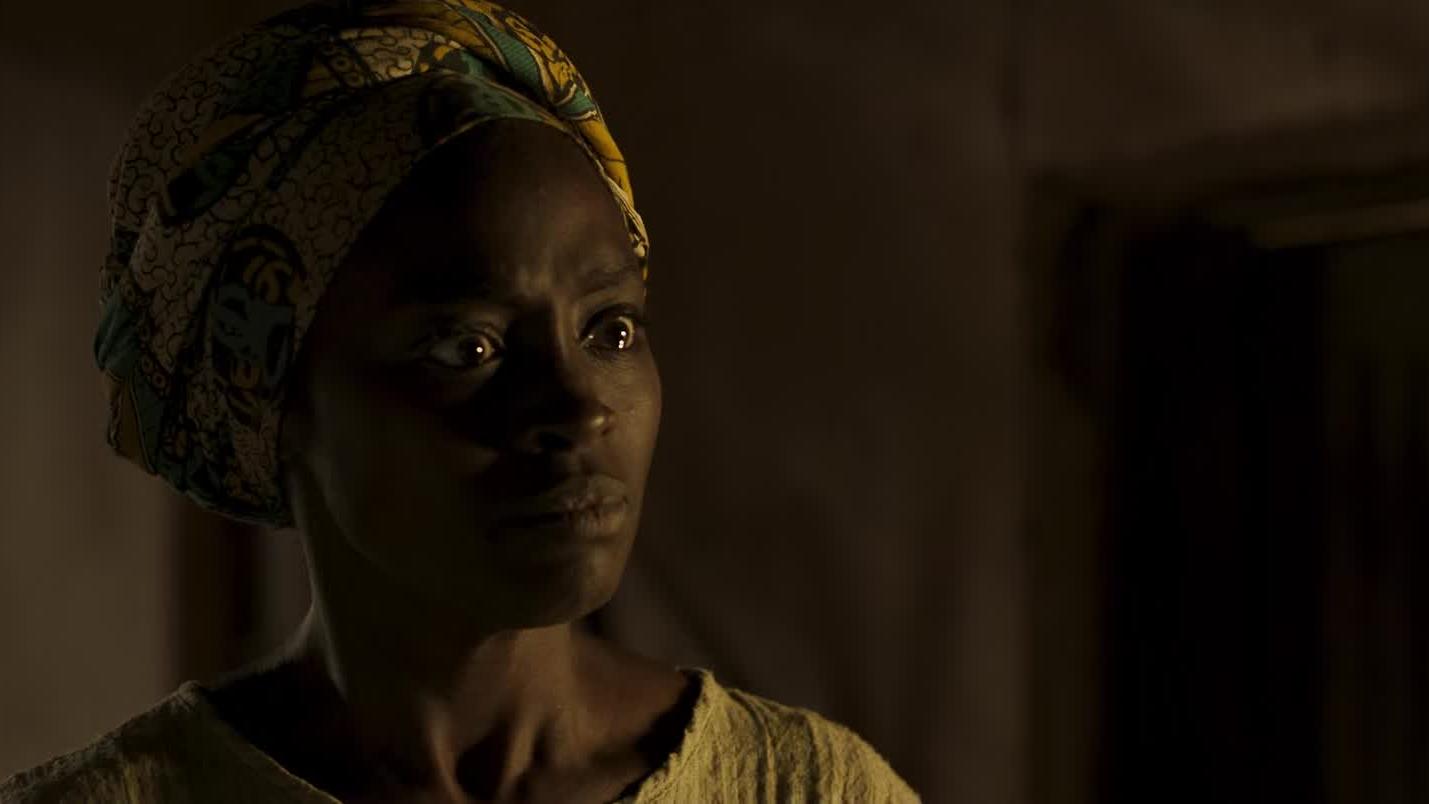 By the fruit shall we know the tree. - The Boy Who Harnessed the Wind ...