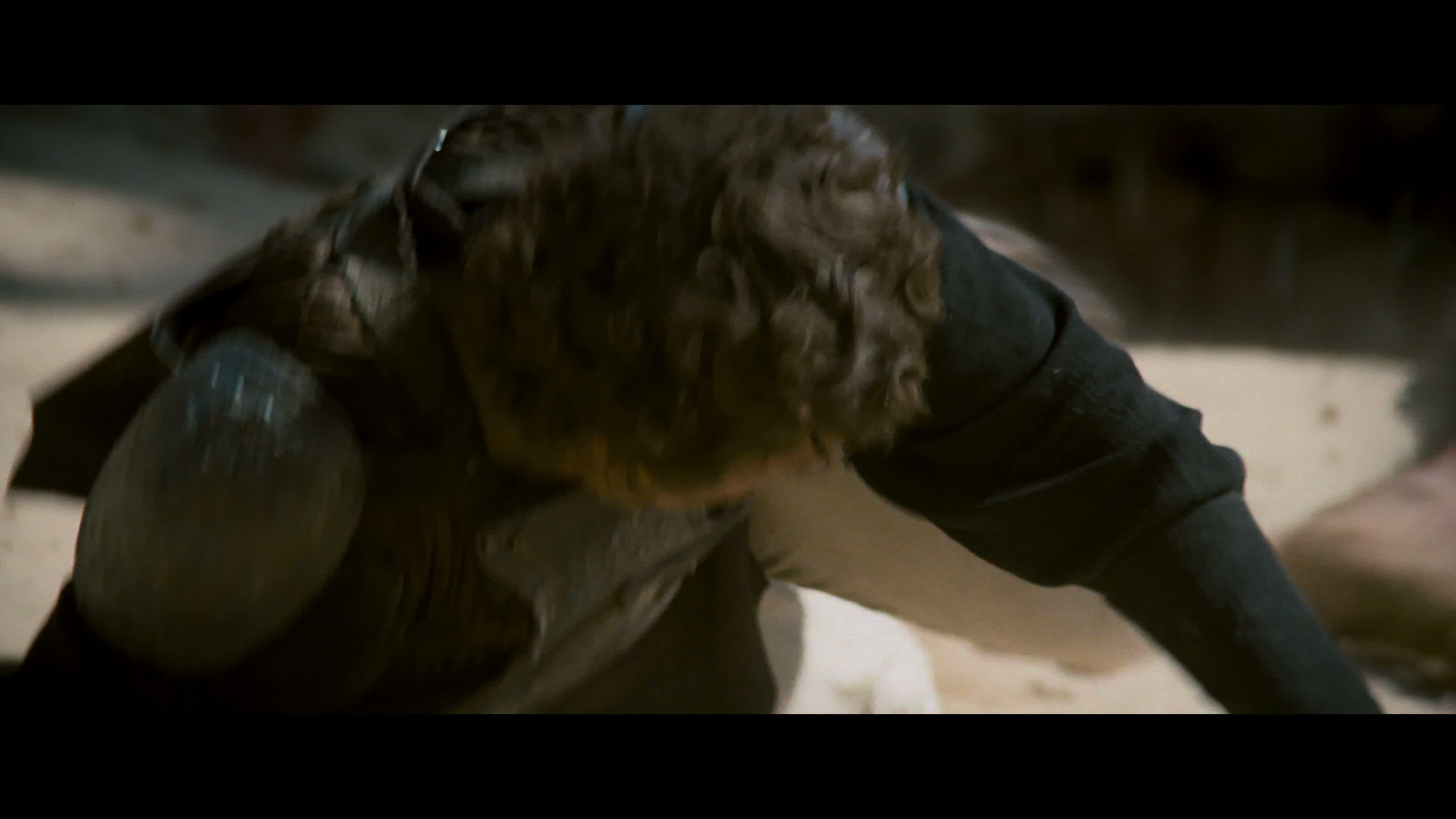 Chewie, pull us up. Up, Chewie. Up. Come on. We gotta get out of here ...