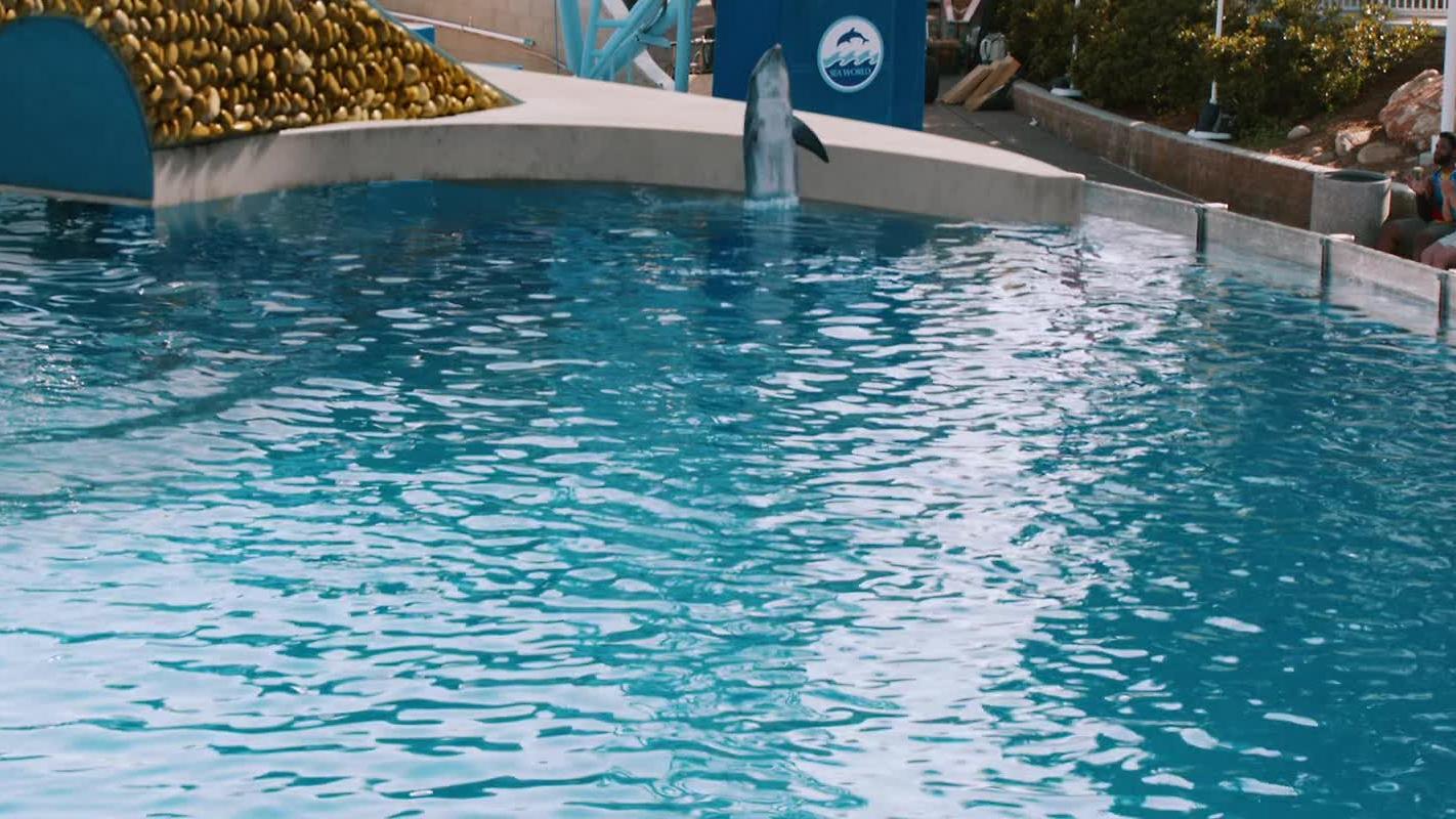 Children and animals hate you, Ron Burgundy! - Anchorman 2: The Legend ...