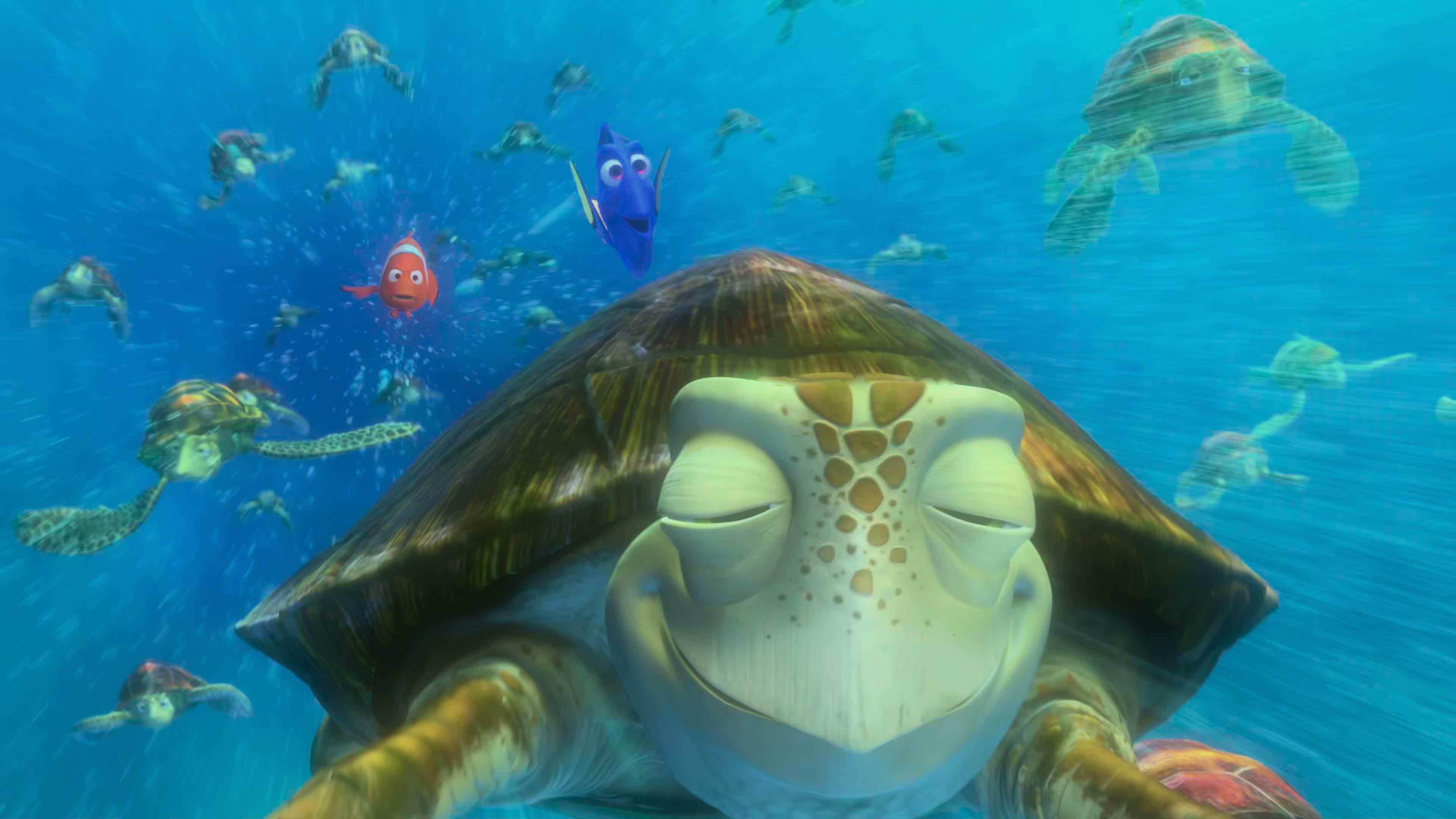 Do you have your exit buddy? - Finding Nemo | Clip.Cafe