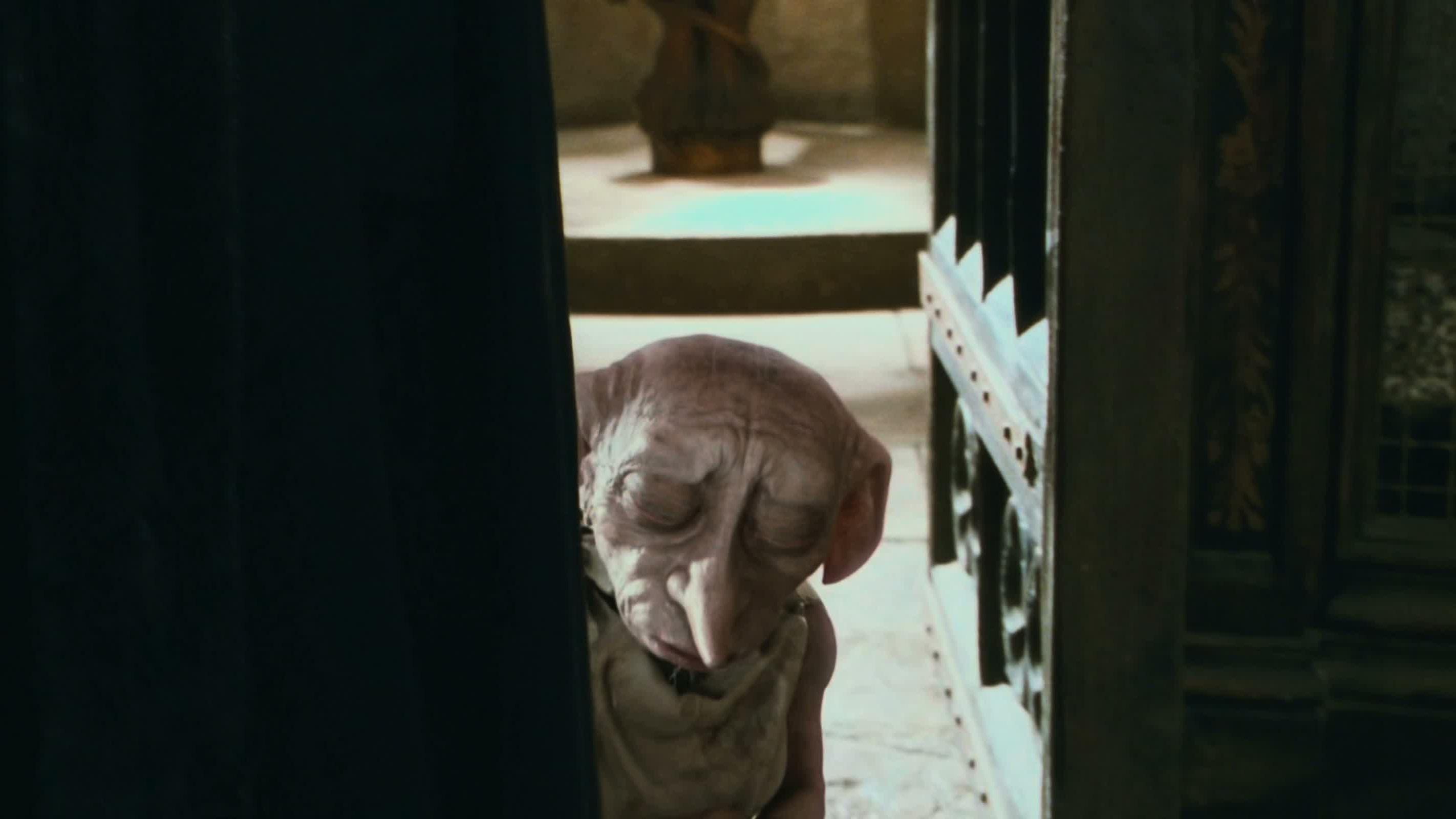 Dobby. So this is your master.The family you serve is the Malfoys. I'll ...