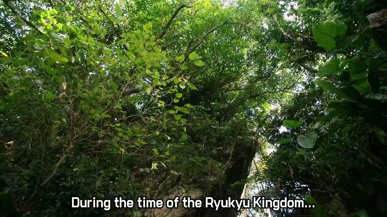 "During the ryukyu dynasty, ceremonies were held at places like thisand ...