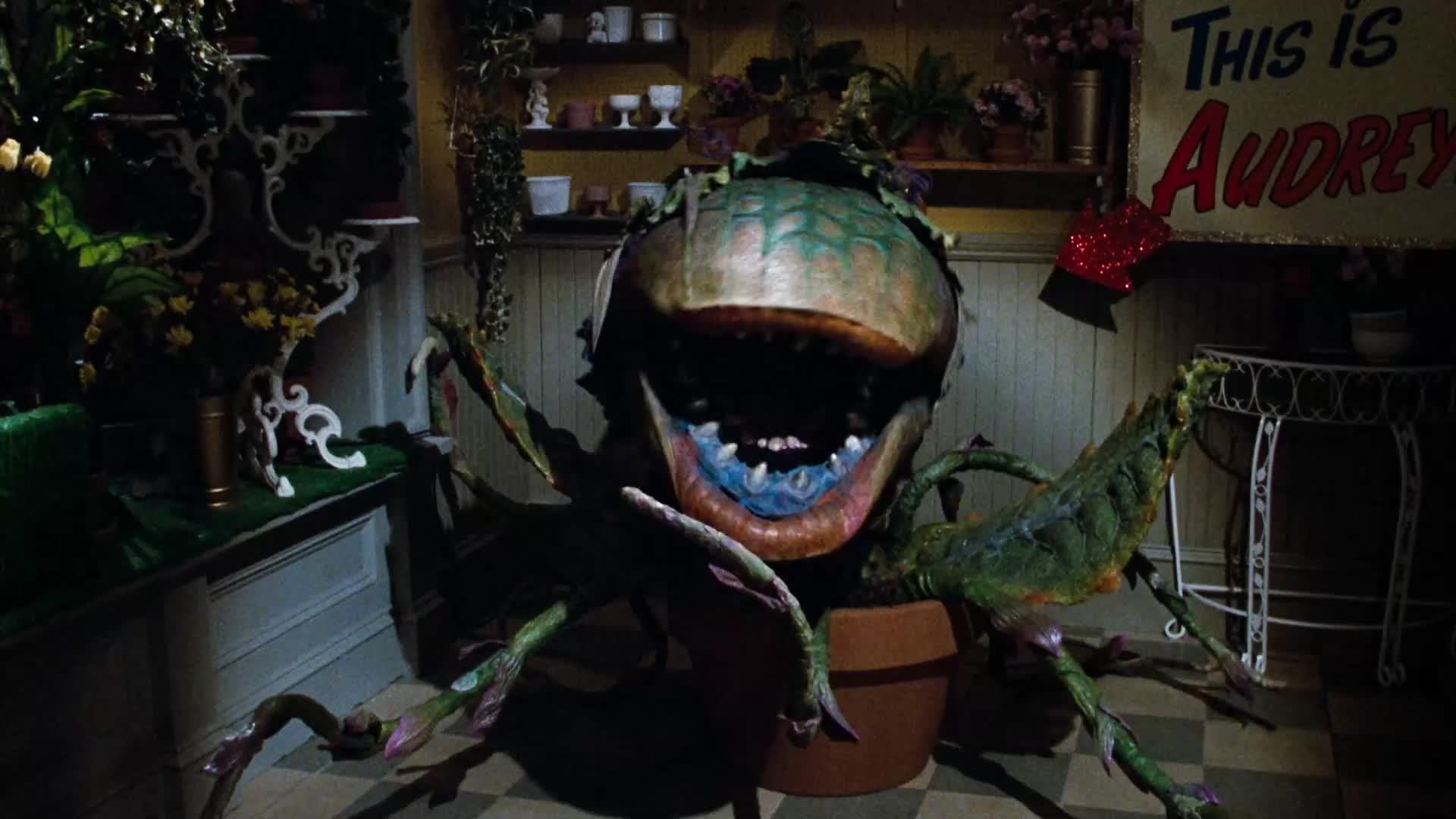 Feed me, Seymour / Feed me all night long - That's right, boy! - You ...