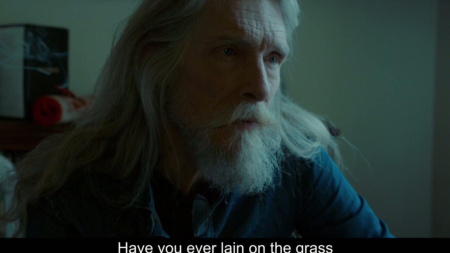 Have you ever lain on the grass and imagined you're not looking into ...