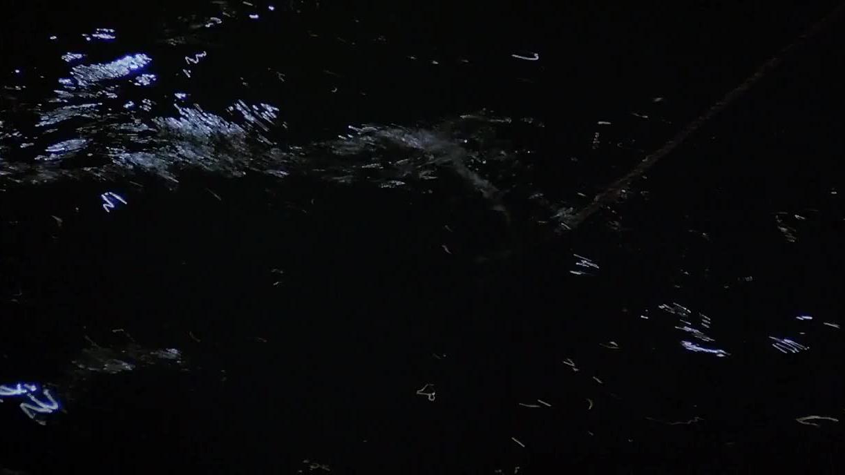Hold on! Tie it down! Hold on. Feels like a whale!Hold on. Just be ...
