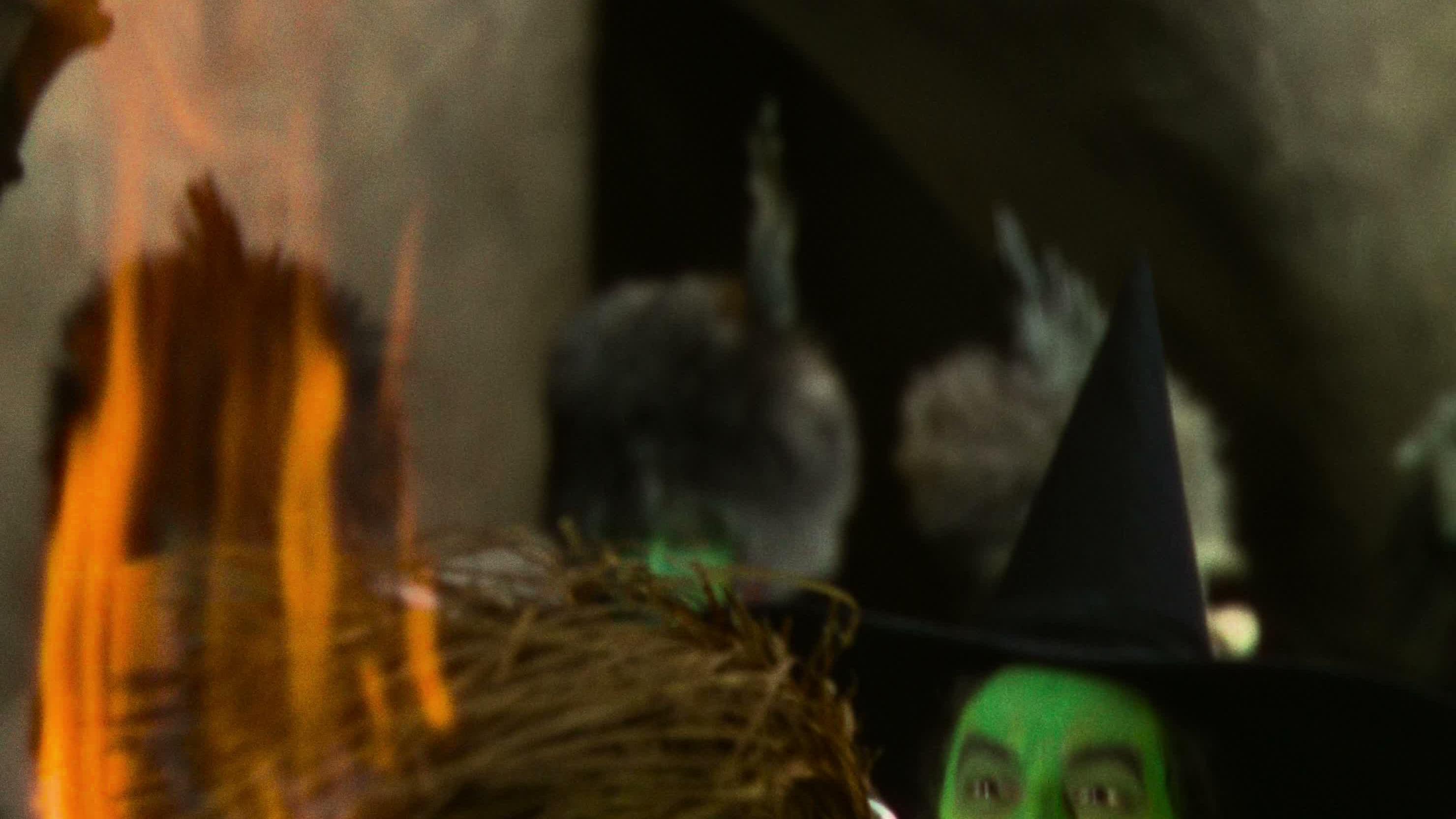 How about a little fire, Scarecrow? No! No! No! Help! I'm burning! I'm ...