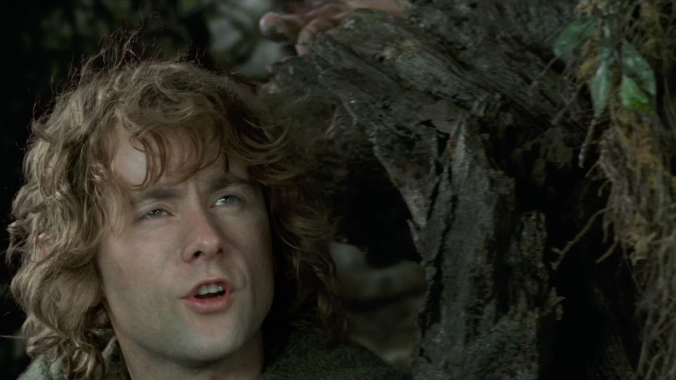 "-How did they die?-Die? No." - The Lord of the Rings: The Two Towers quote