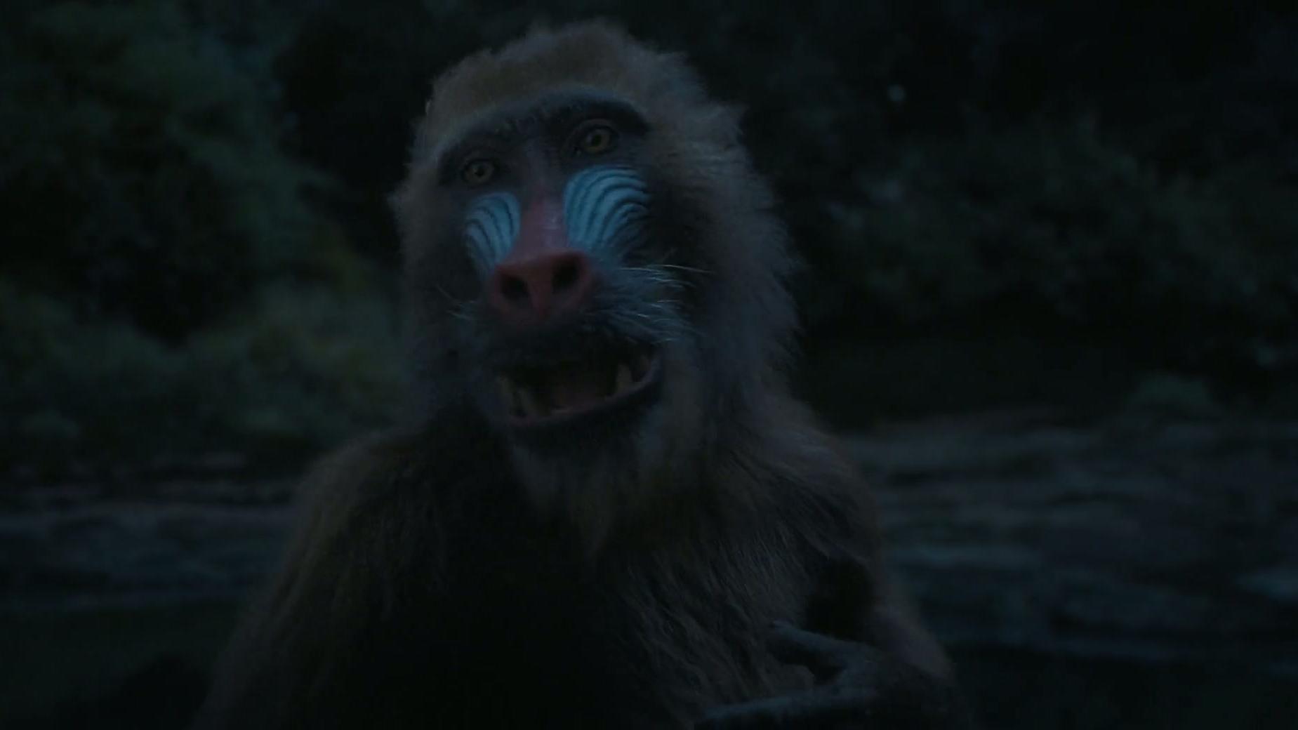 I am not a baboon.I am a mandrill. - Mufasa: The Lion King | Clip.Cafe