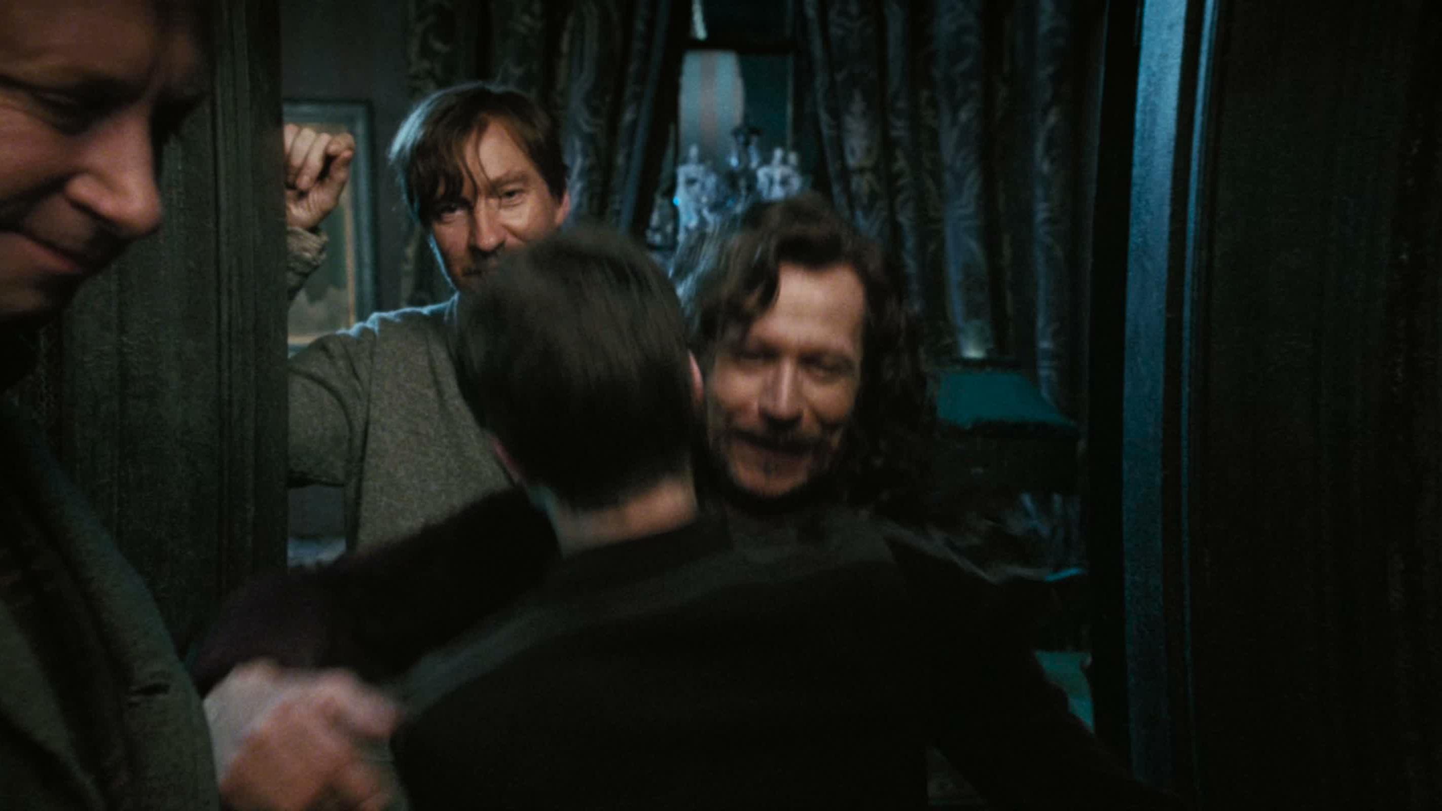 I may vomit. - Harry Potter and the Order of the Phoenix | Clip.Cafe