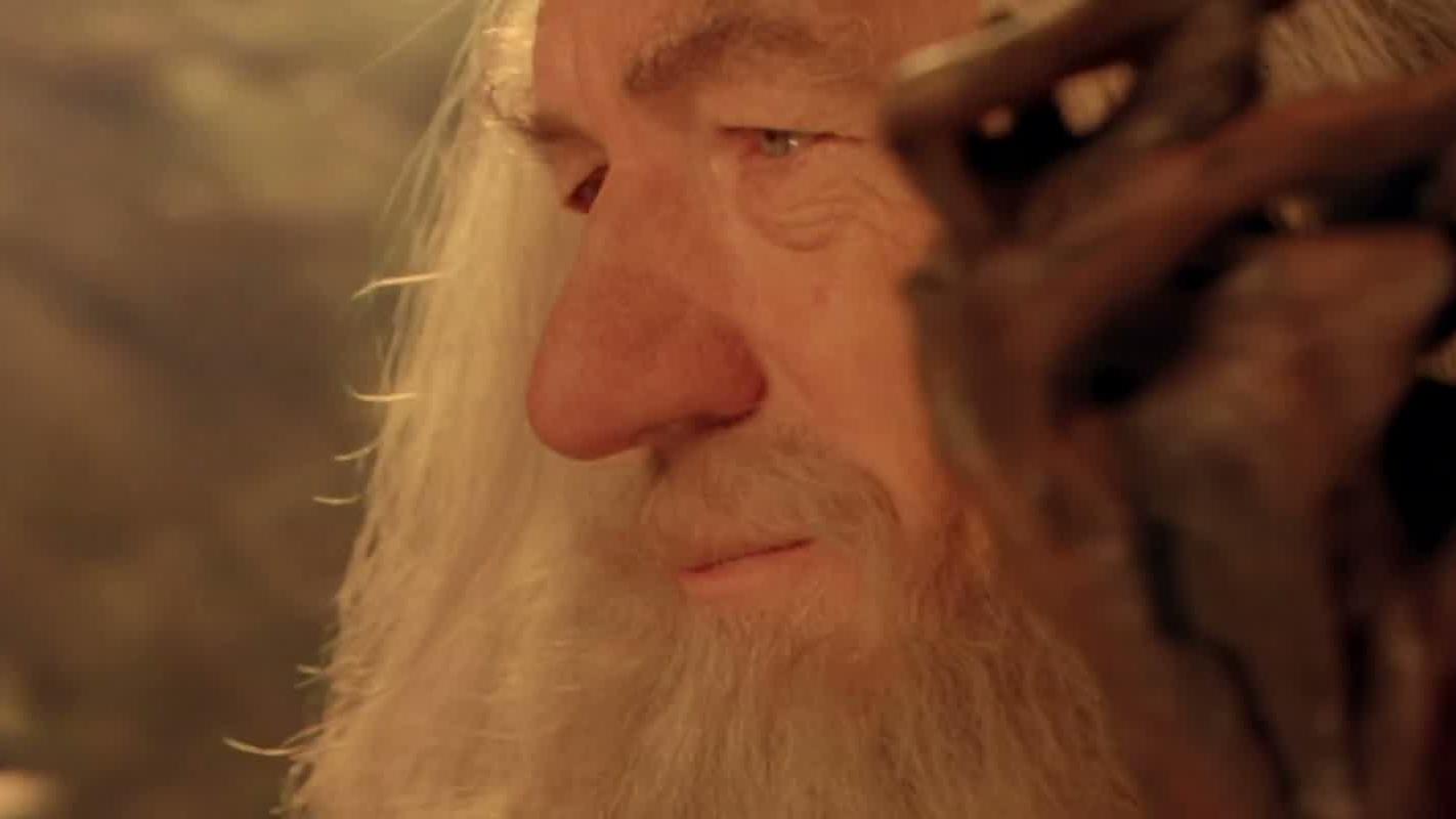 I will take the Ring to Mordor. - The Lord of the Rings: The Fellowship ...