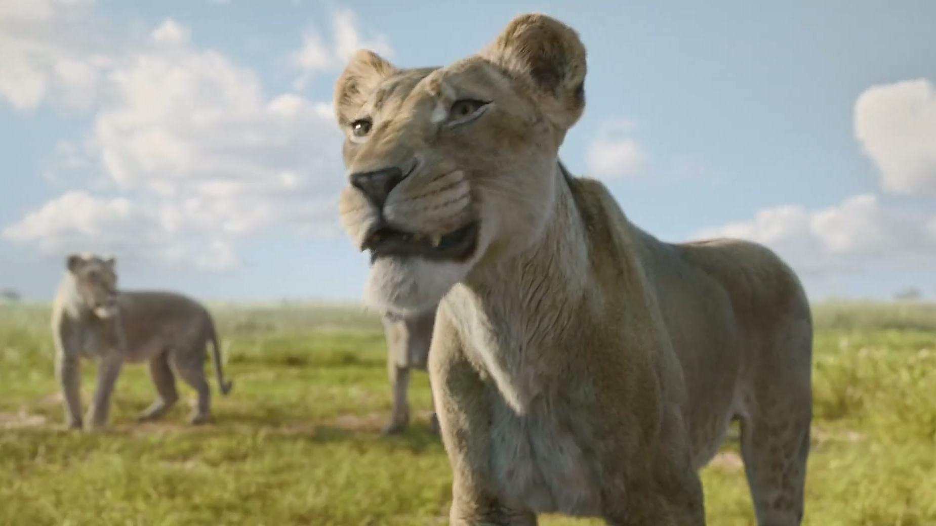 If he wins, he lives, Obasi. - Mufasa: The Lion King | Clip.Cafe