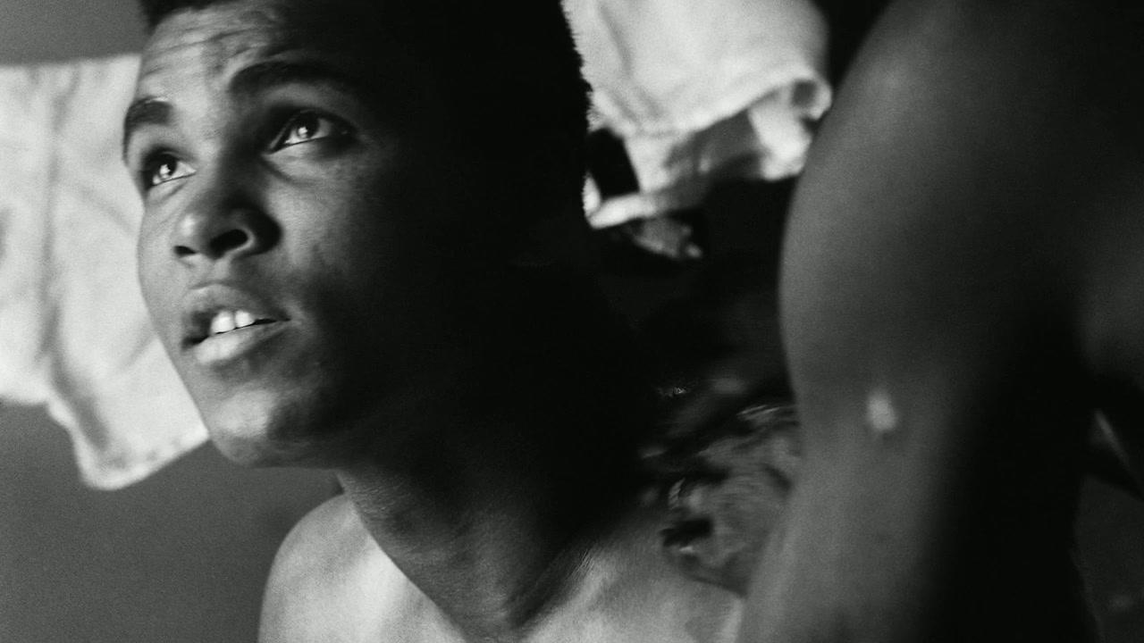 In Gordon Parks's understanding of Muhammad Ali,was the continuation of ...