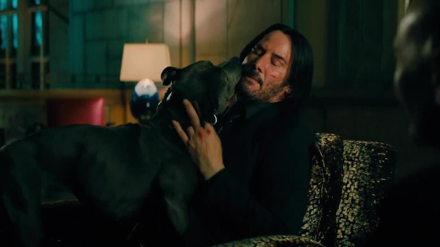 Is that the dog? He likes you. Me? I'm, uh, more of a cat person myself ...