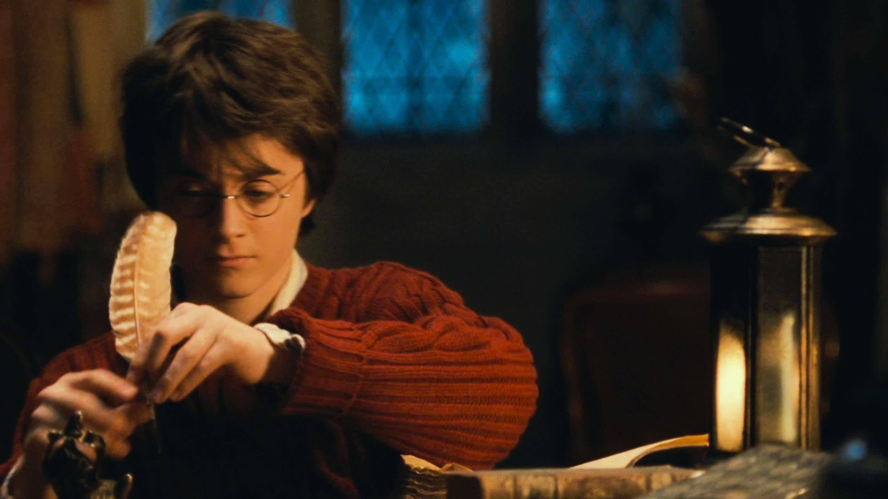 It wasn't him.Aragog never killed no one. Never. - Harry Potter and the ...