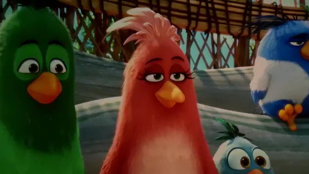 Mr. Red, we are a happy happy bird community. Under the protection of ...