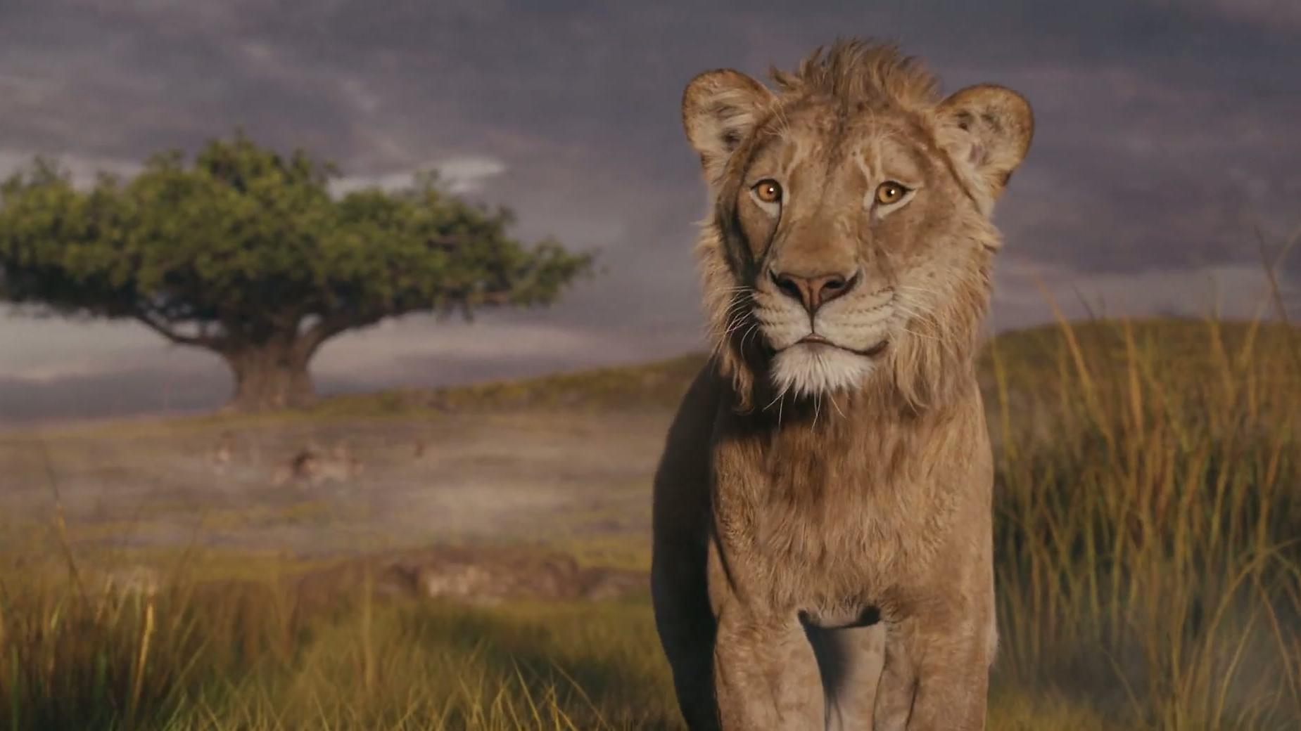 "Mufasa, you and Taka together.That..." - Mufasa: The Lion King quote