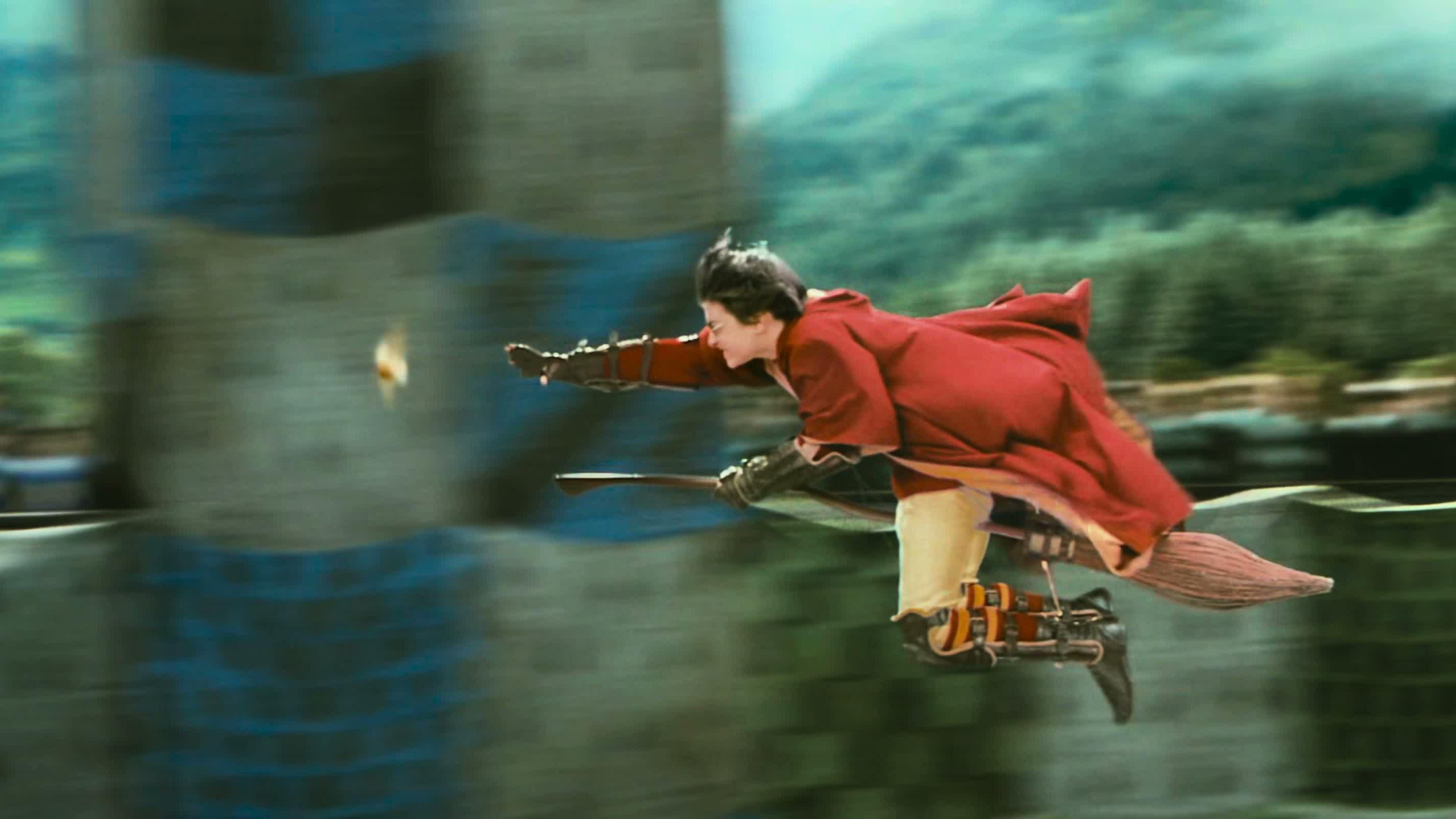 Not kill you, sir.Never kill you. - Harry Potter and the Chamber of ...