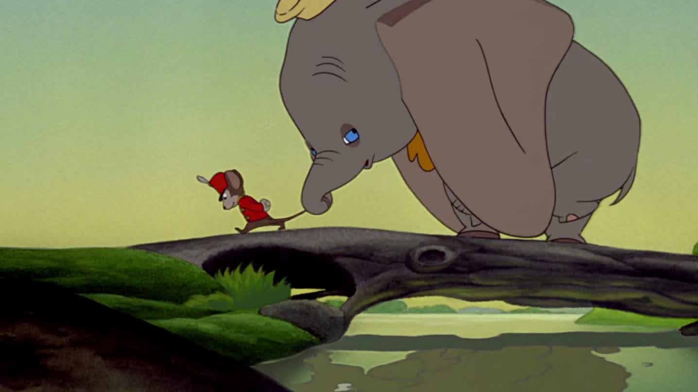 Now I wonder how we ever got up in that tree, anyway? Now, let's see ...