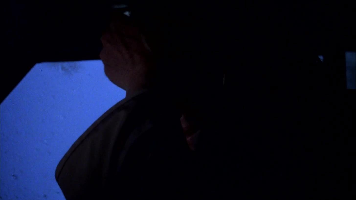 "Oh, David. It's only a few more blocks." - The Incredible Hulk quote