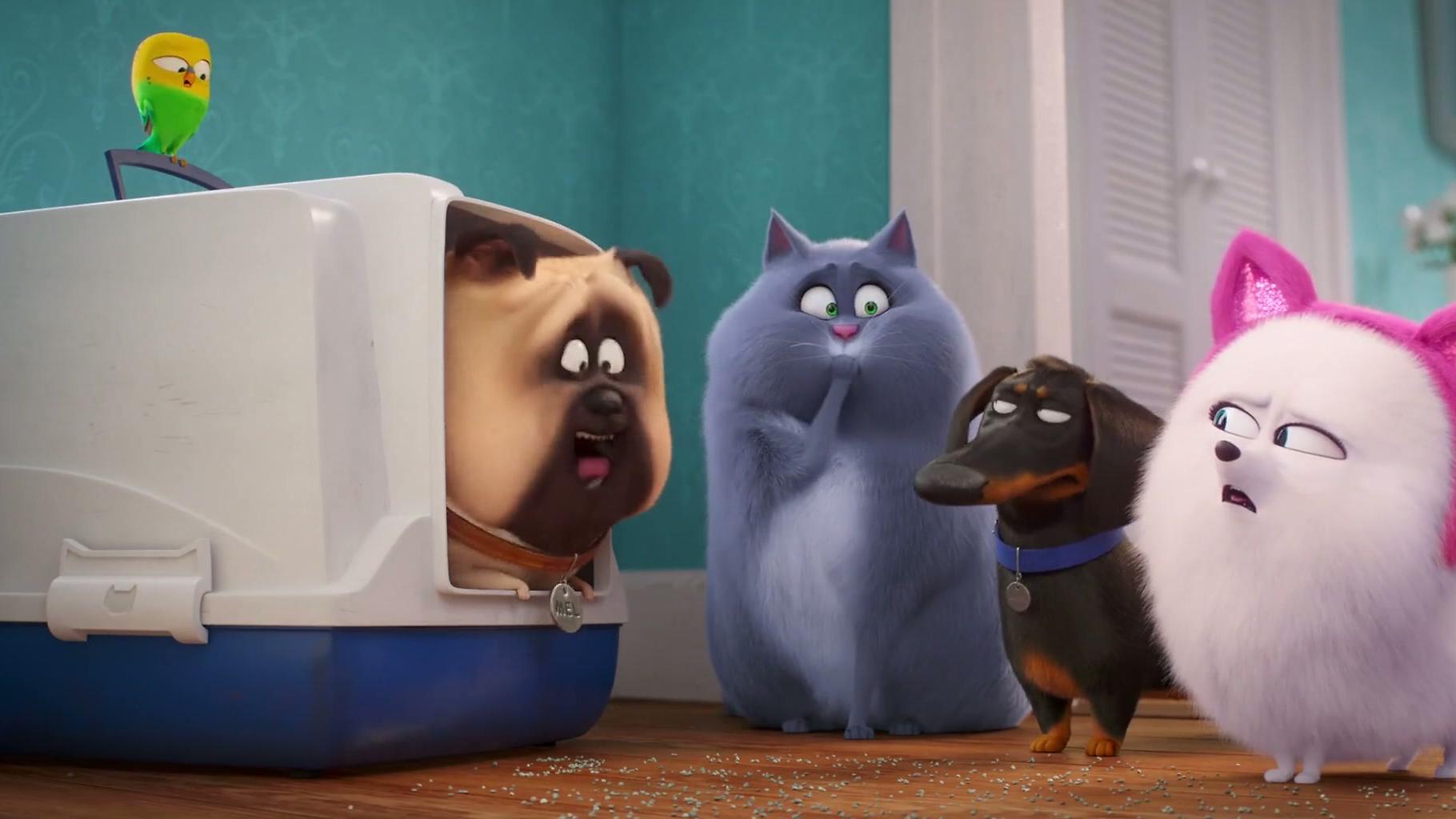 "Okay, Gidget, eat Sweet Pea. What? Cats eat birds. It's nature. Yeah ...