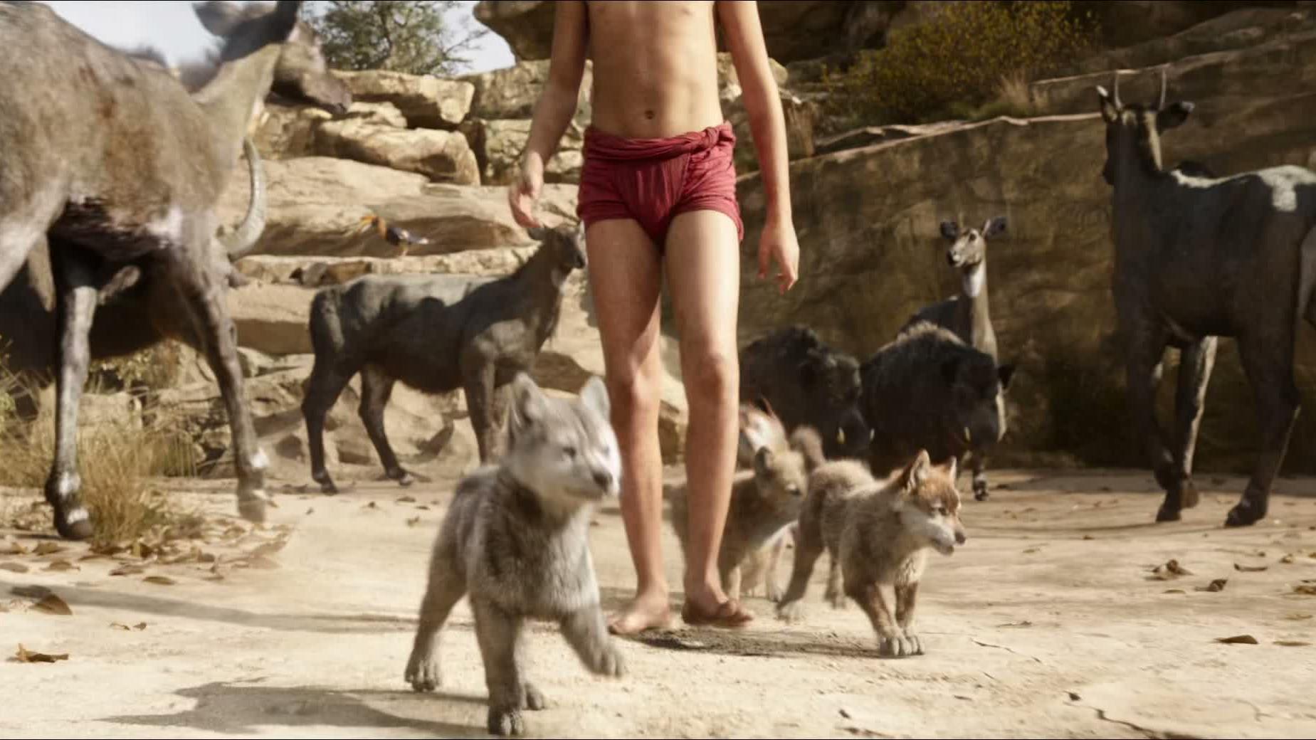 It's a Water Truce! - The Jungle Book | Clip.Cafe