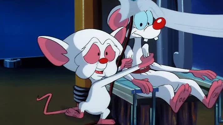 "Pinky, are you pondering what I'm pondering? Well, I think so Brain ...