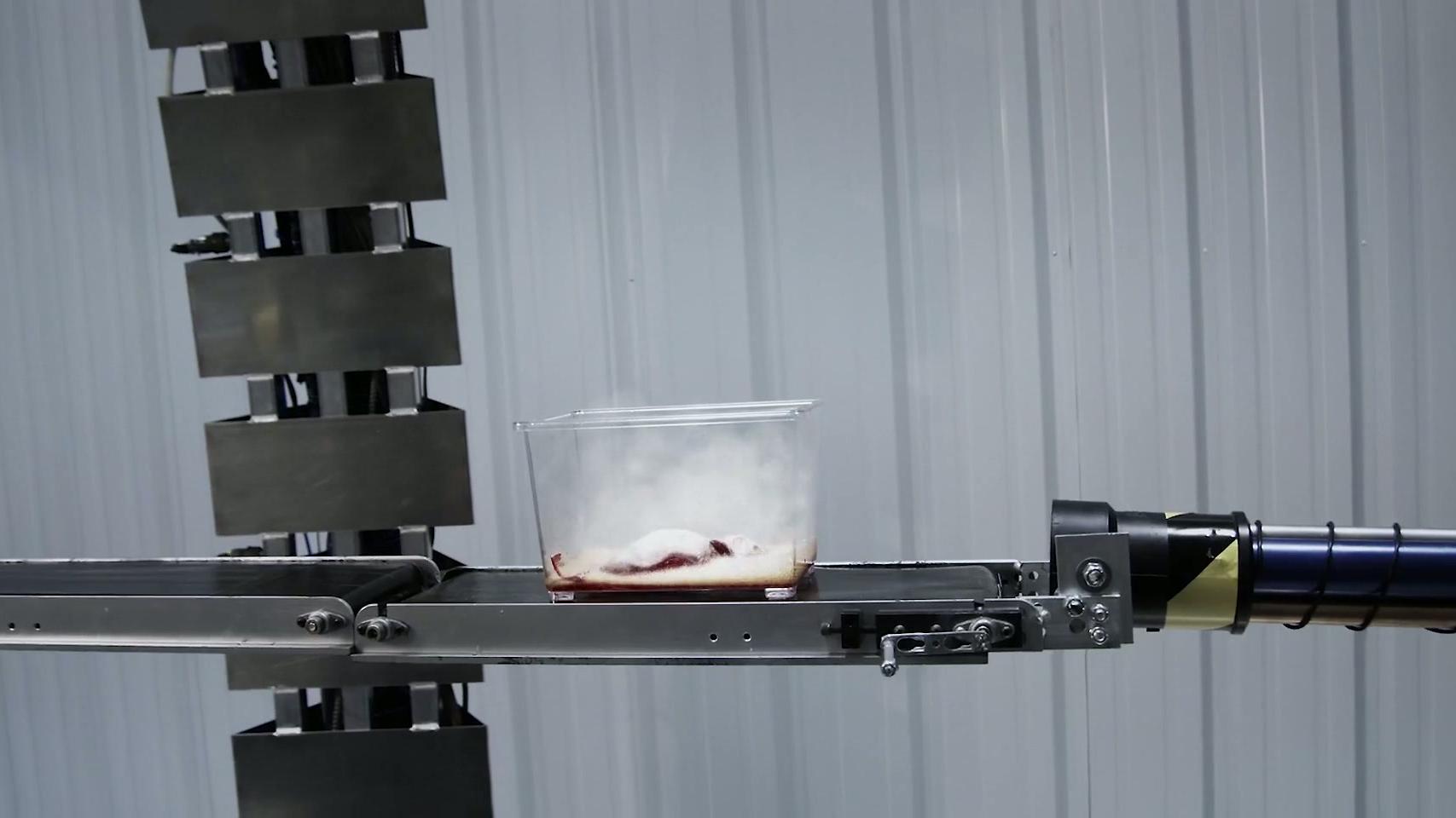 Protein breakdown, quantumcoherence breakdown. - Intersect | Clip.Cafe