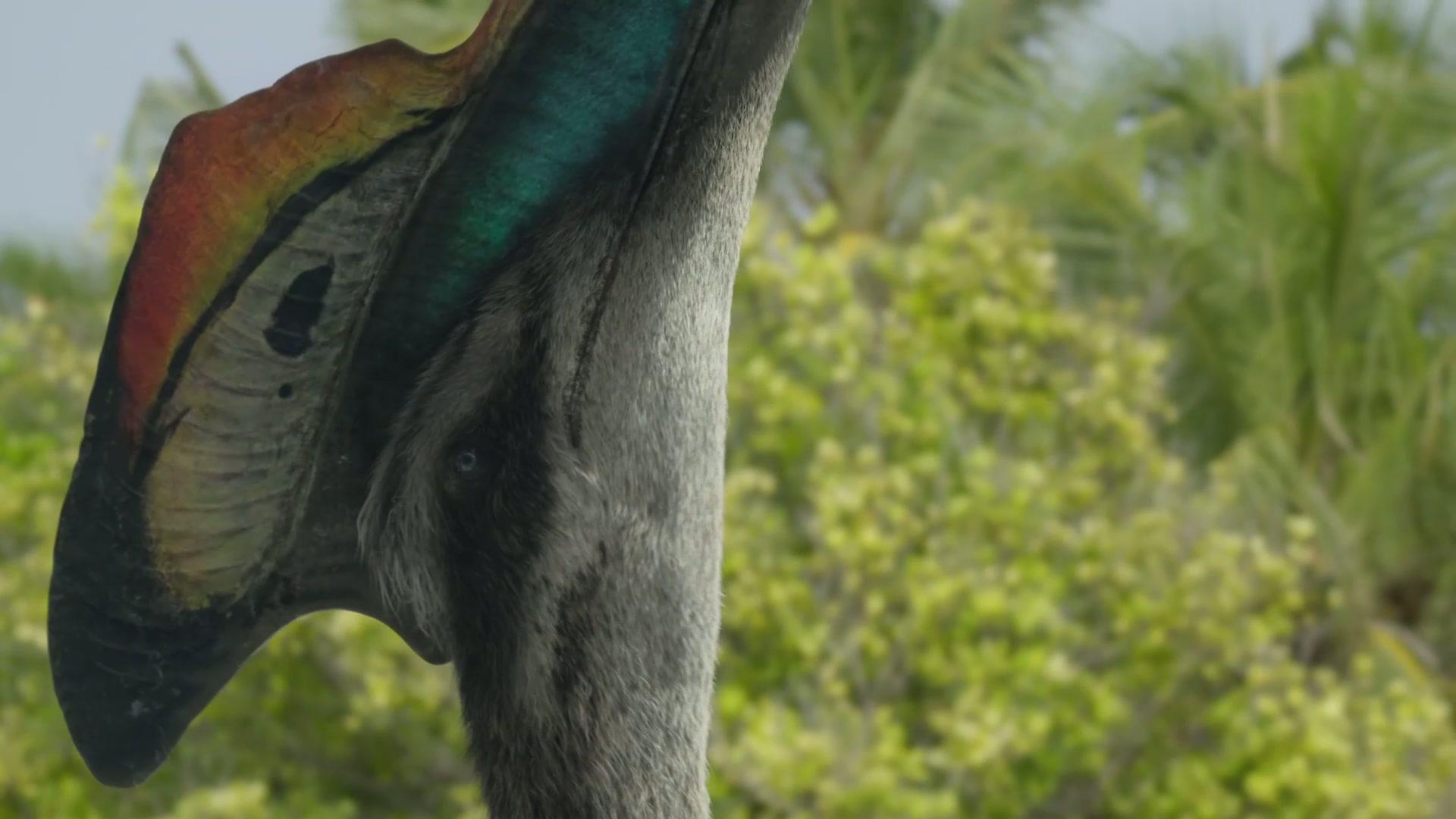 "Head lifts invite her to come closer." - Prehistoric Planet quote