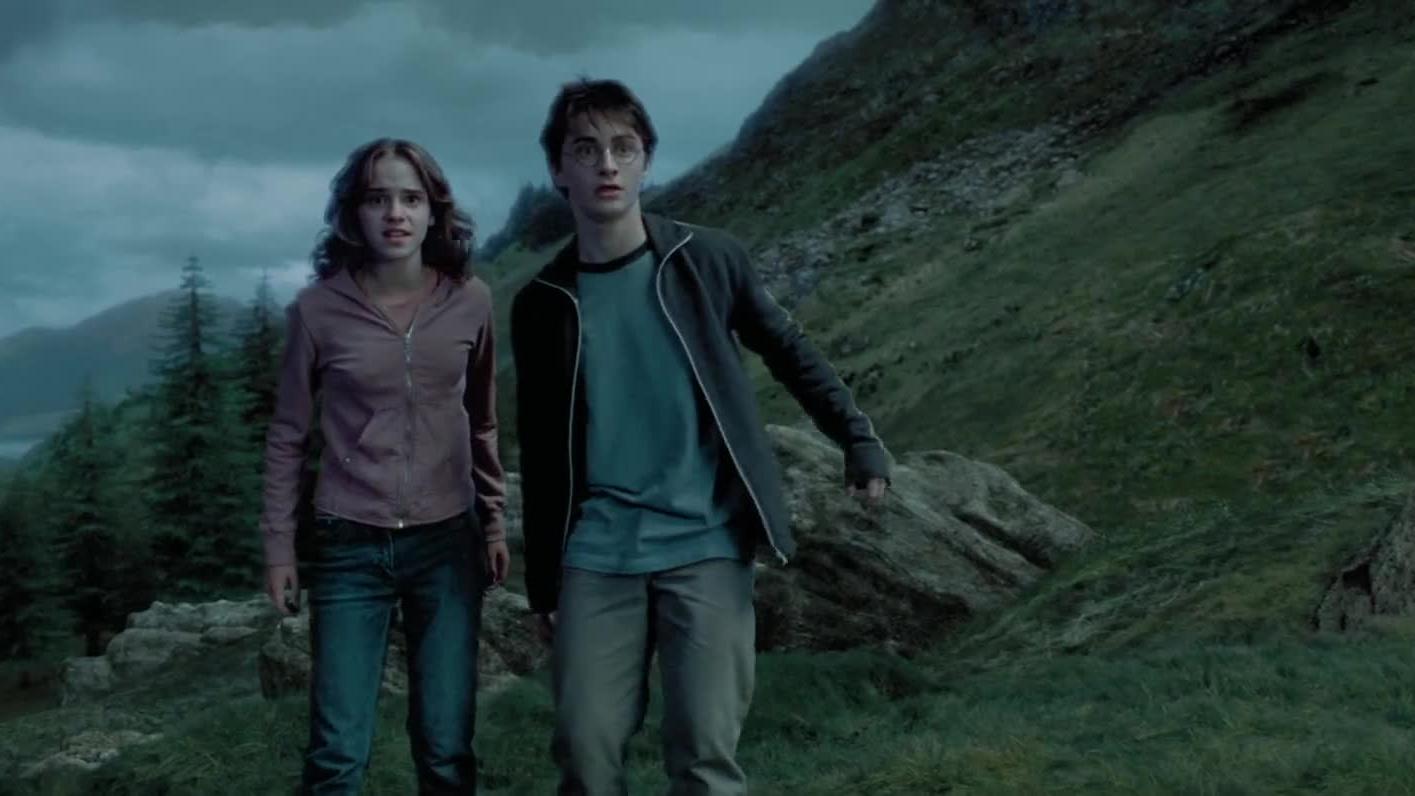 - Scabbers, you bit me!- Harry, you do realize what tree this is? That ...