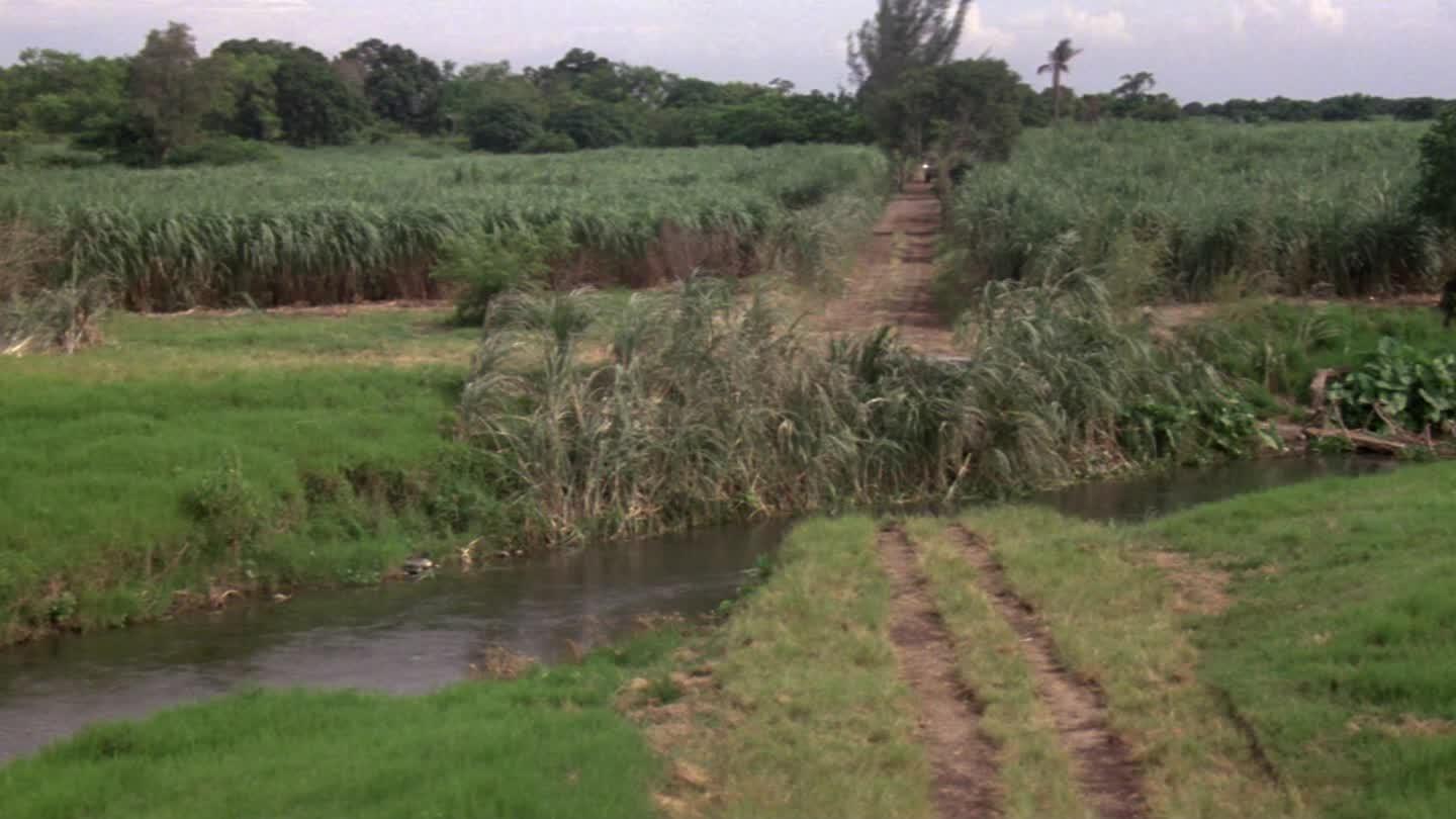 See that river? What, the one without the bridge? This river is the ...