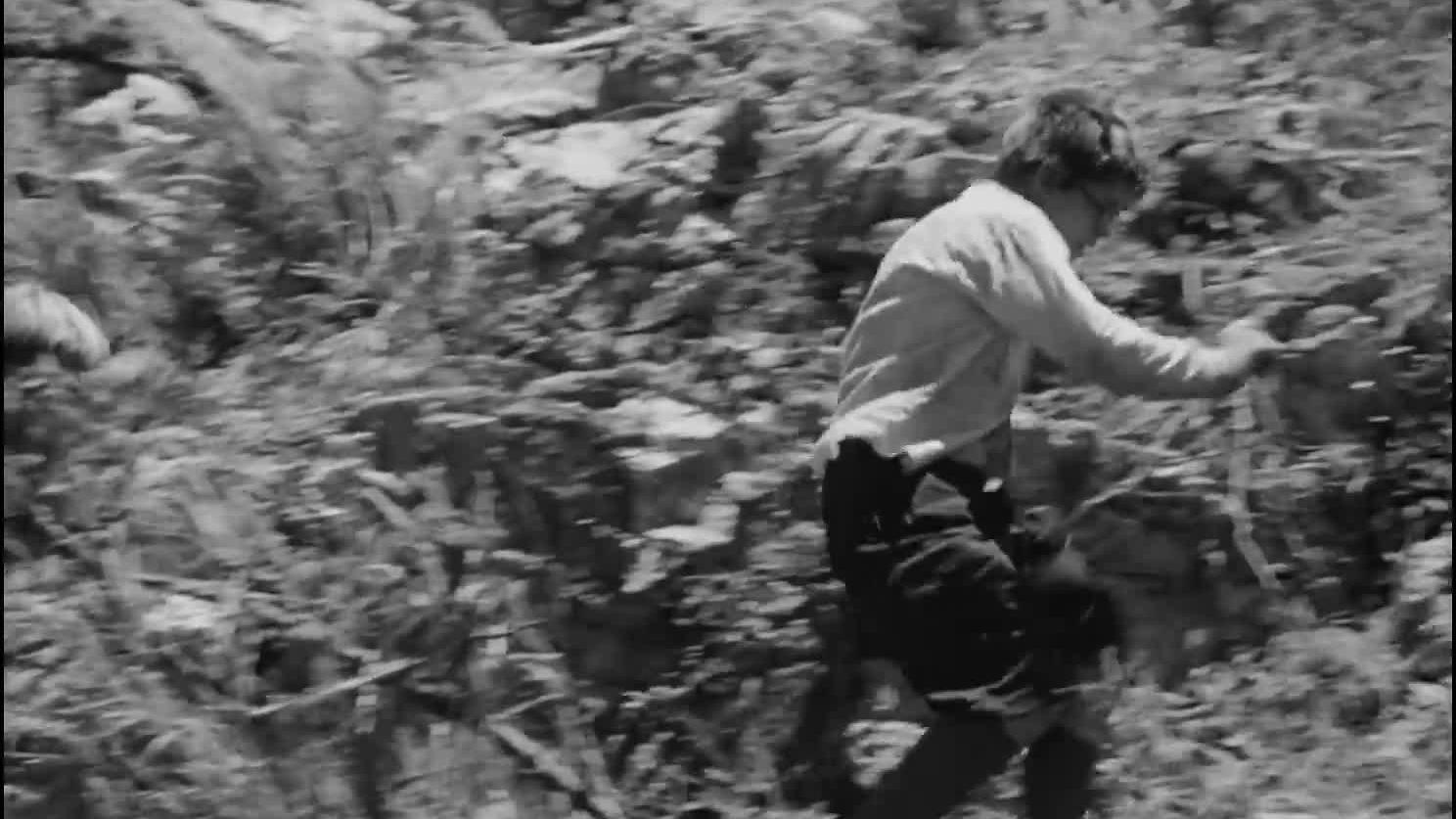 "They've letthe bloody fire out!" - Lord of the Flies quote