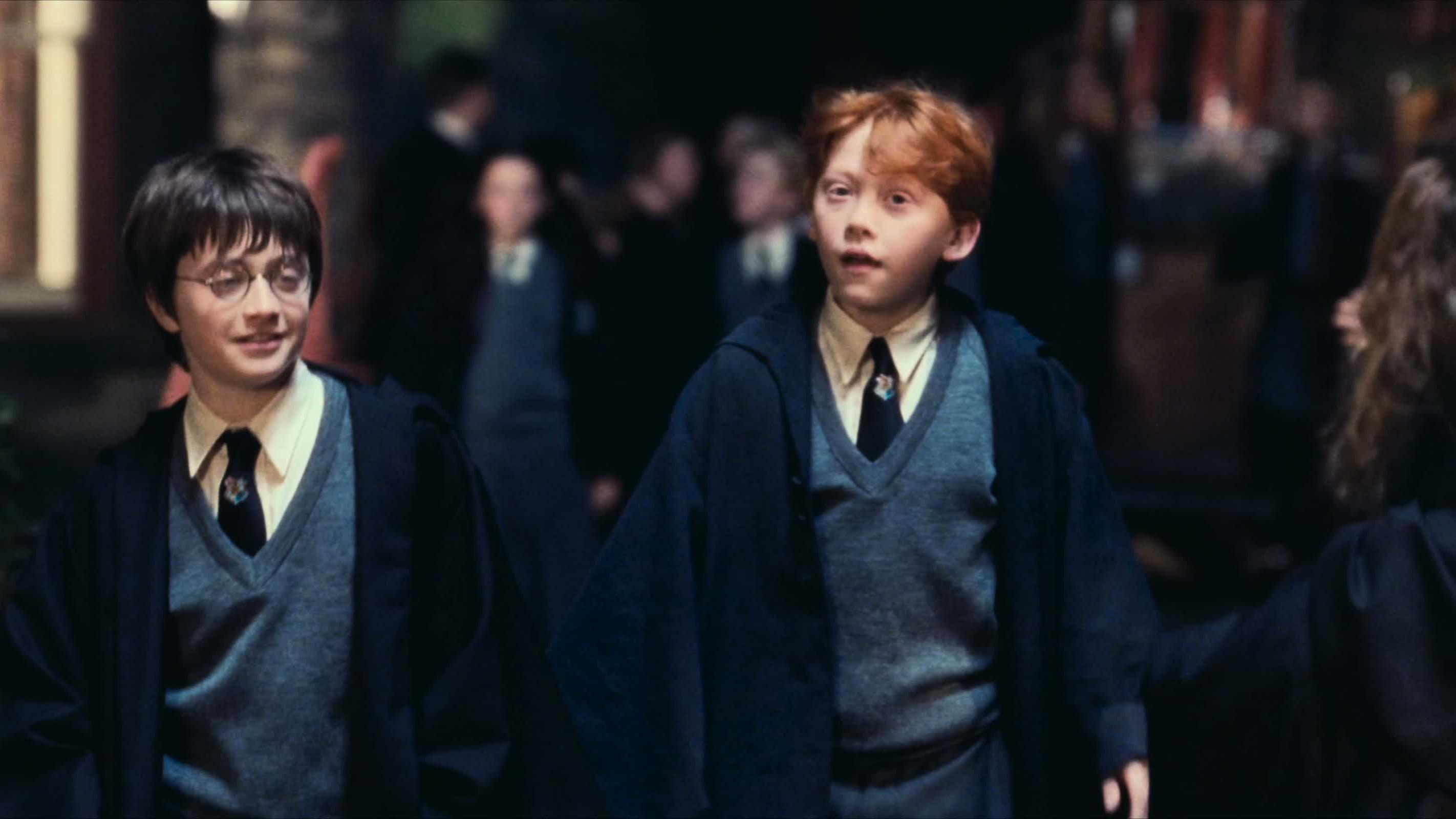 This is Scabbers, by the way. Pathetic, isn't he? - Harry Potter and ...