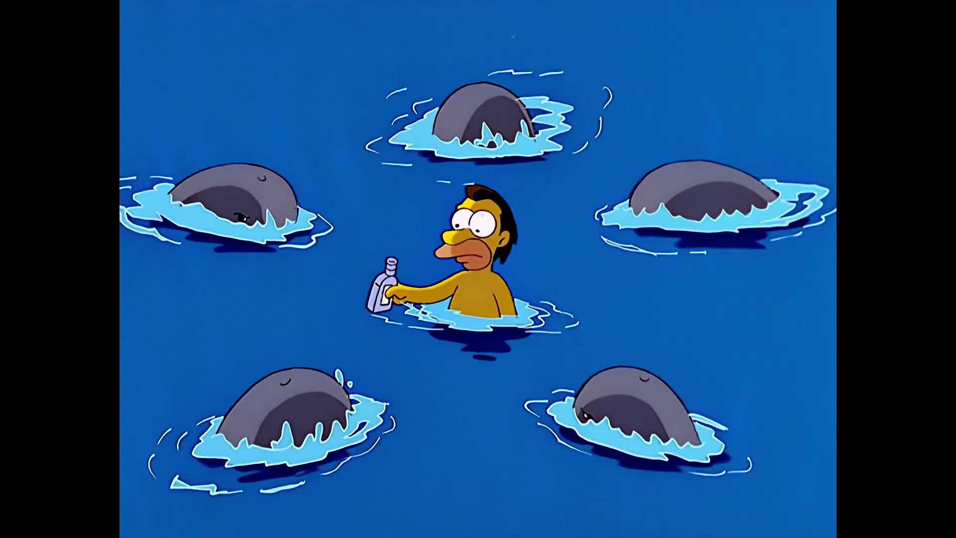 Uh-oh. Sharks. The assassins of the sea. -(chittering)-Ooh. Hey, you're ...