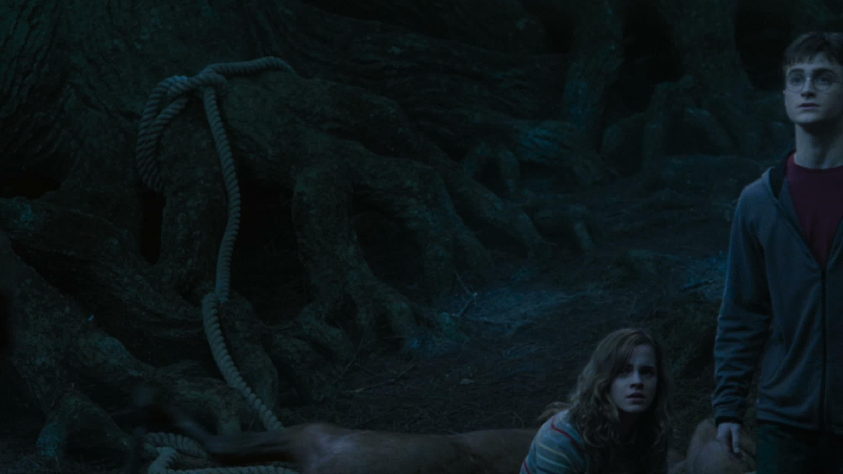 You filthy animal. - Harry Potter and the Order of the Phoenix | Clip.Cafe