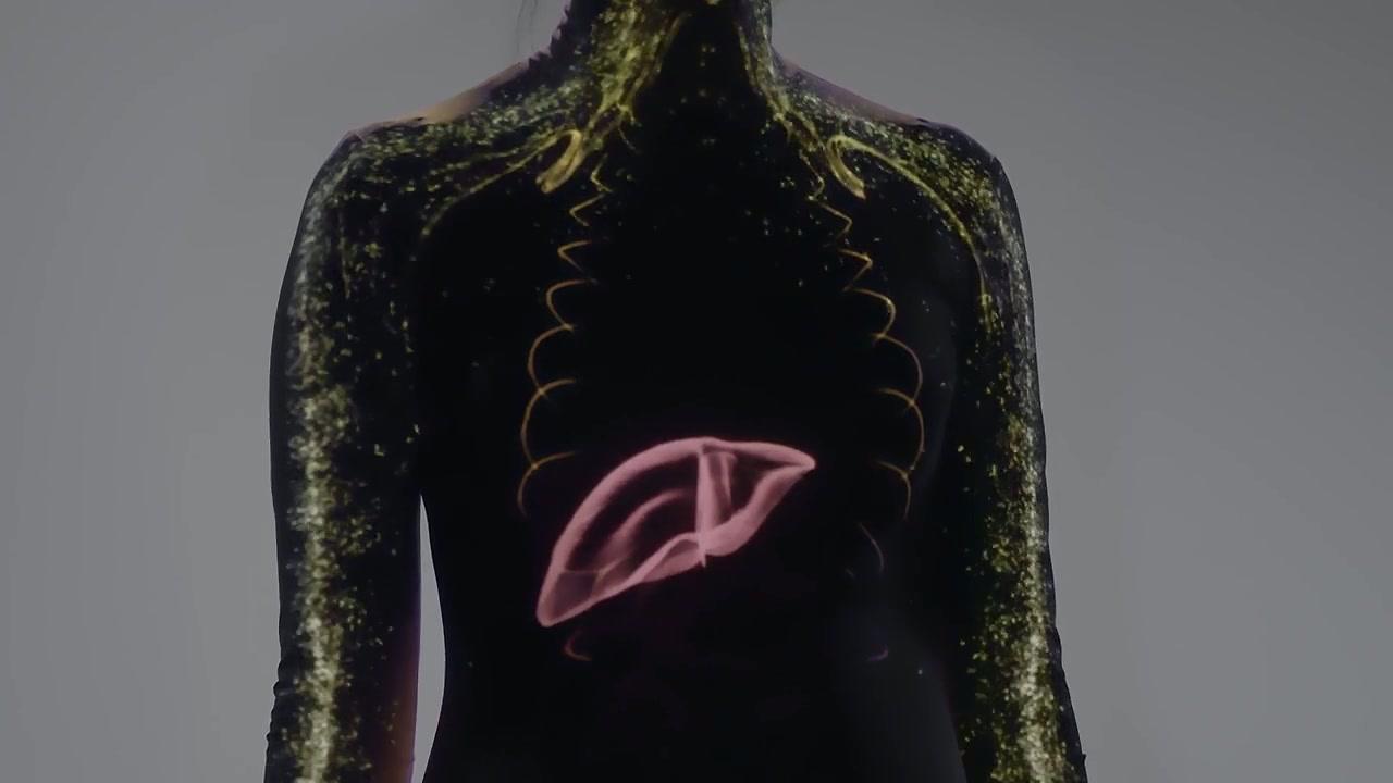 Under the skin, around internal organsand in between muscles, are ...