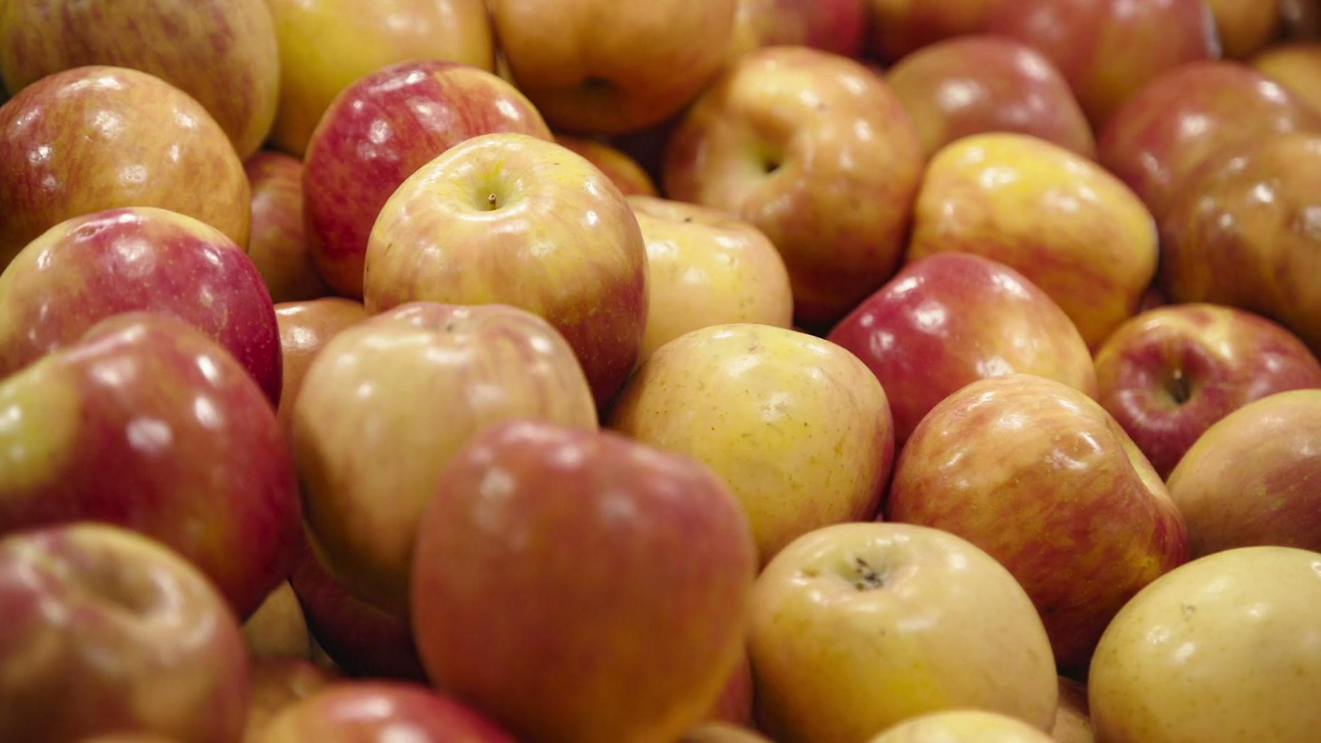 "Varieties that we groware Ginger Gold, Gala, Honeycrisp, Golden ...