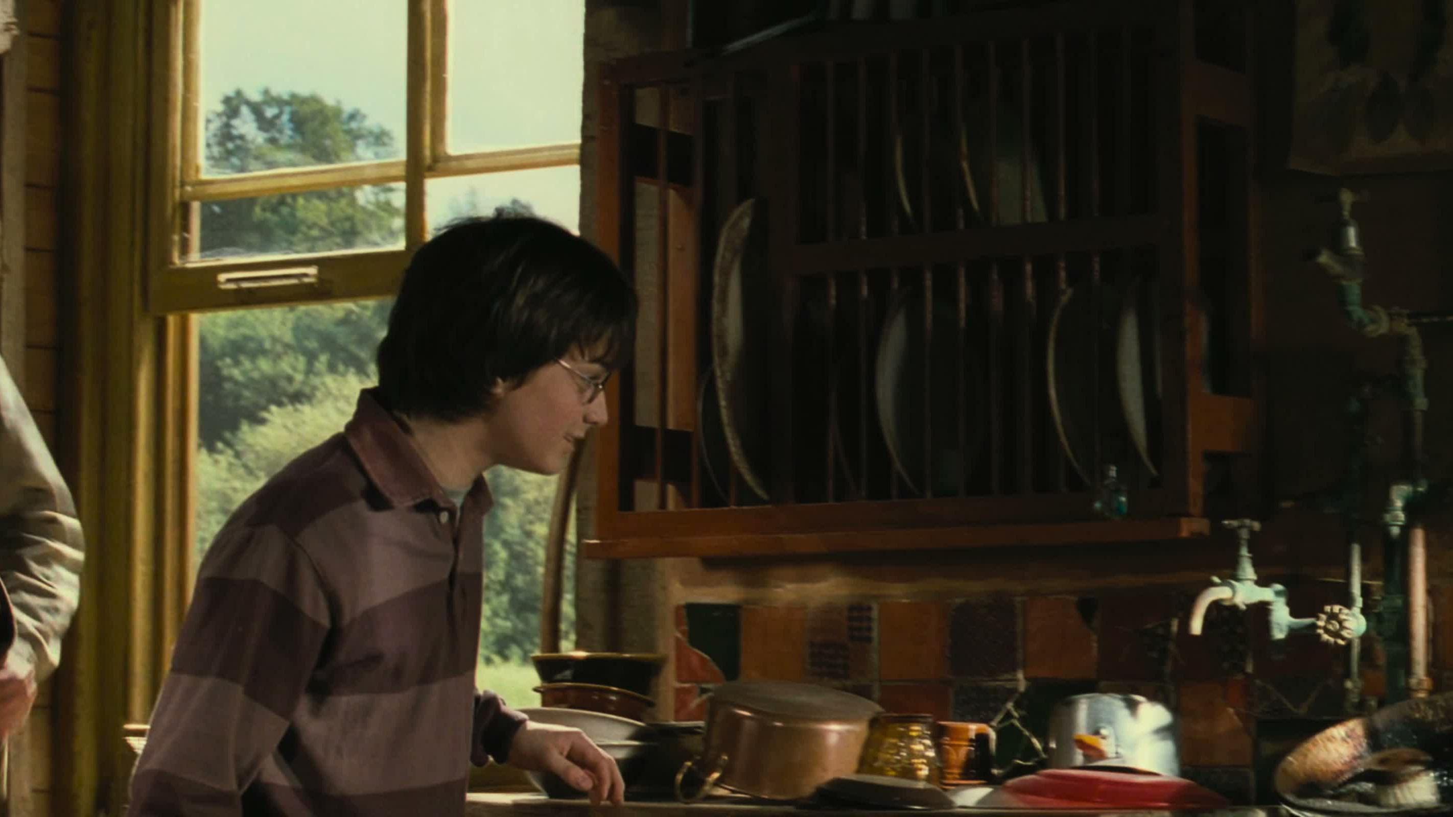 - What a night. Nine raids. Nine!- Raids? - Harry Potter and the ...