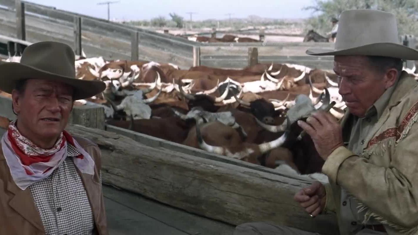 Hello, Ben. Hey, McLintock. Drago, throw that in the buggy. That's a ...