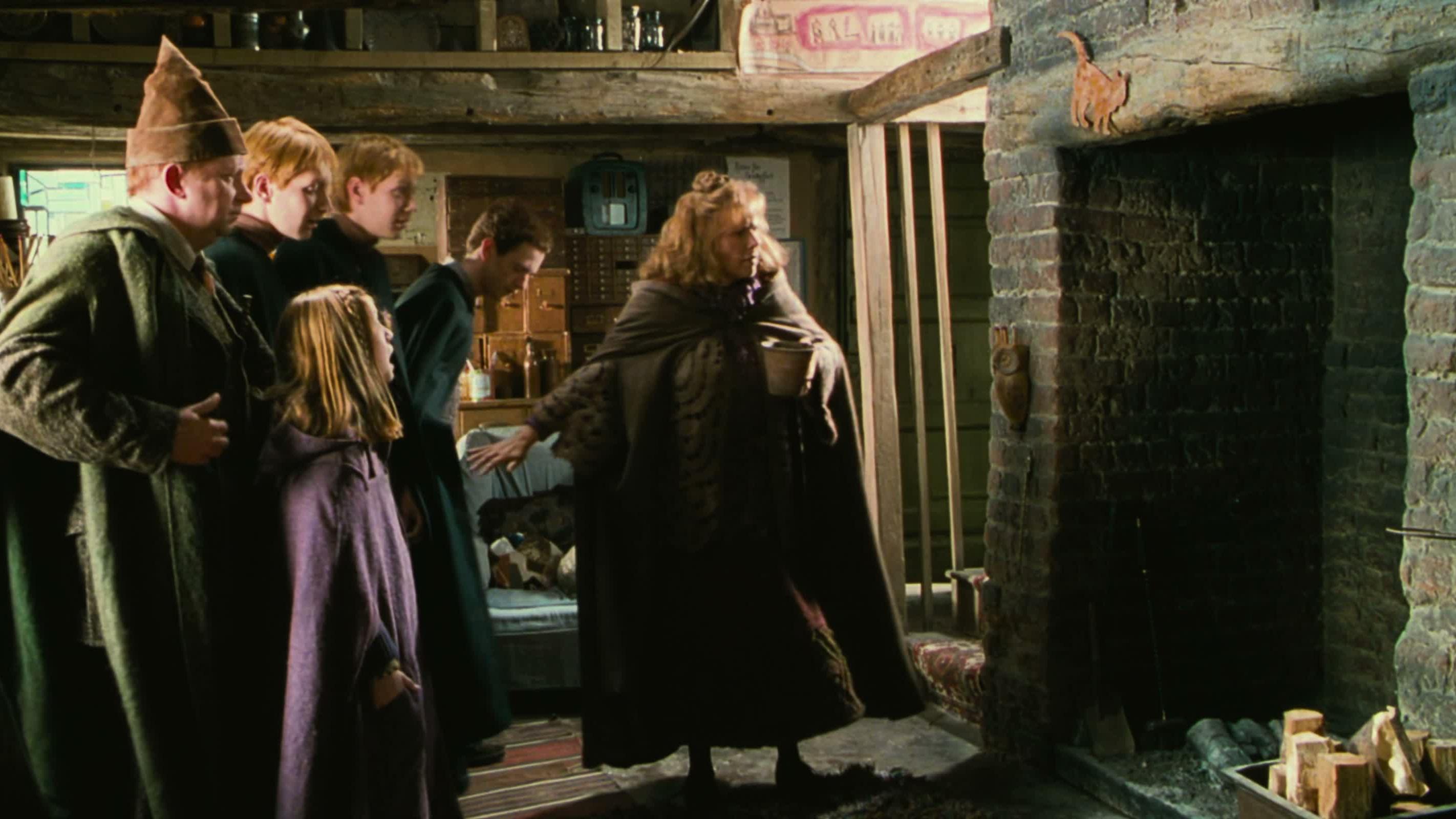 - What did he say, dear?- Diagonally. I thought he did. - Harry Potter ...