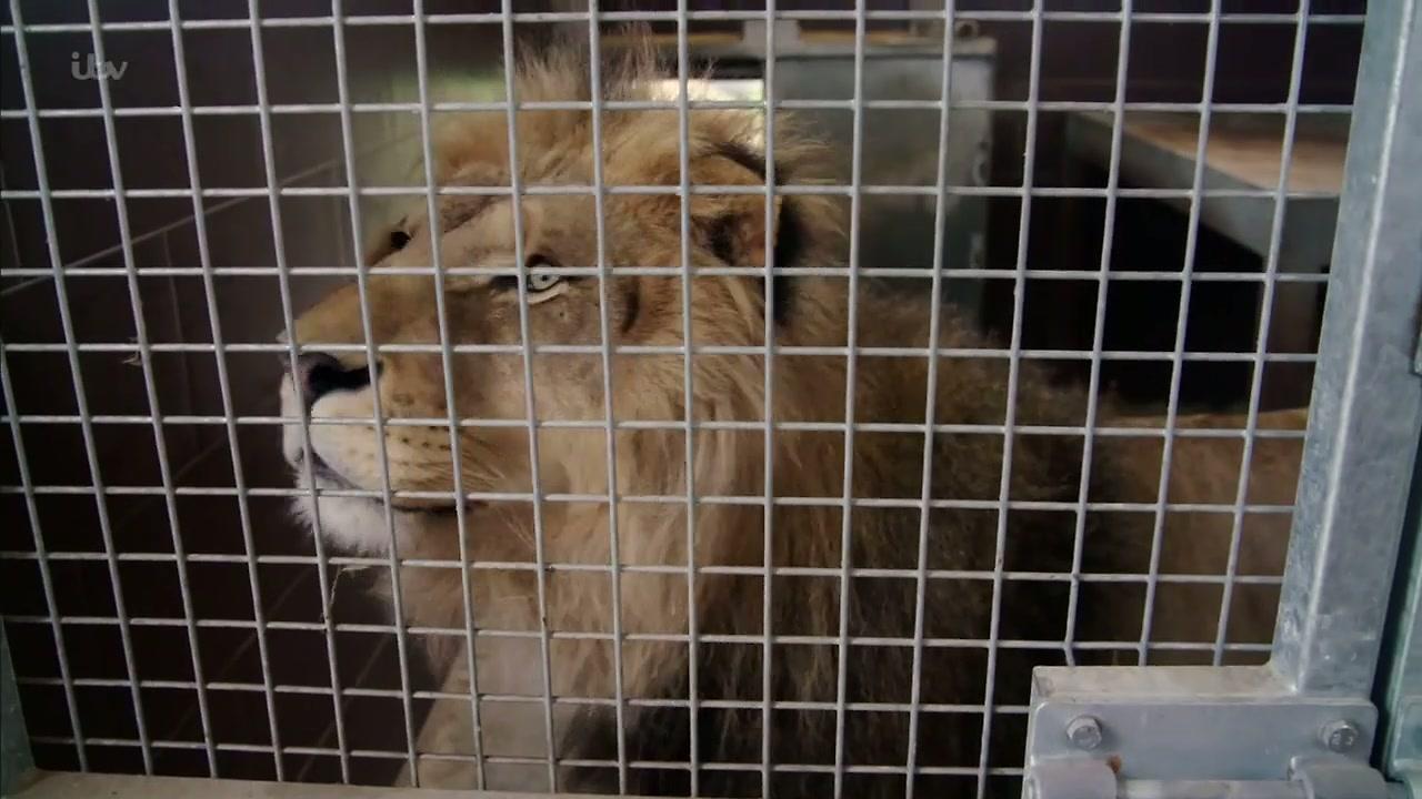 'When most people think about zoos, 'they might picture those in ...