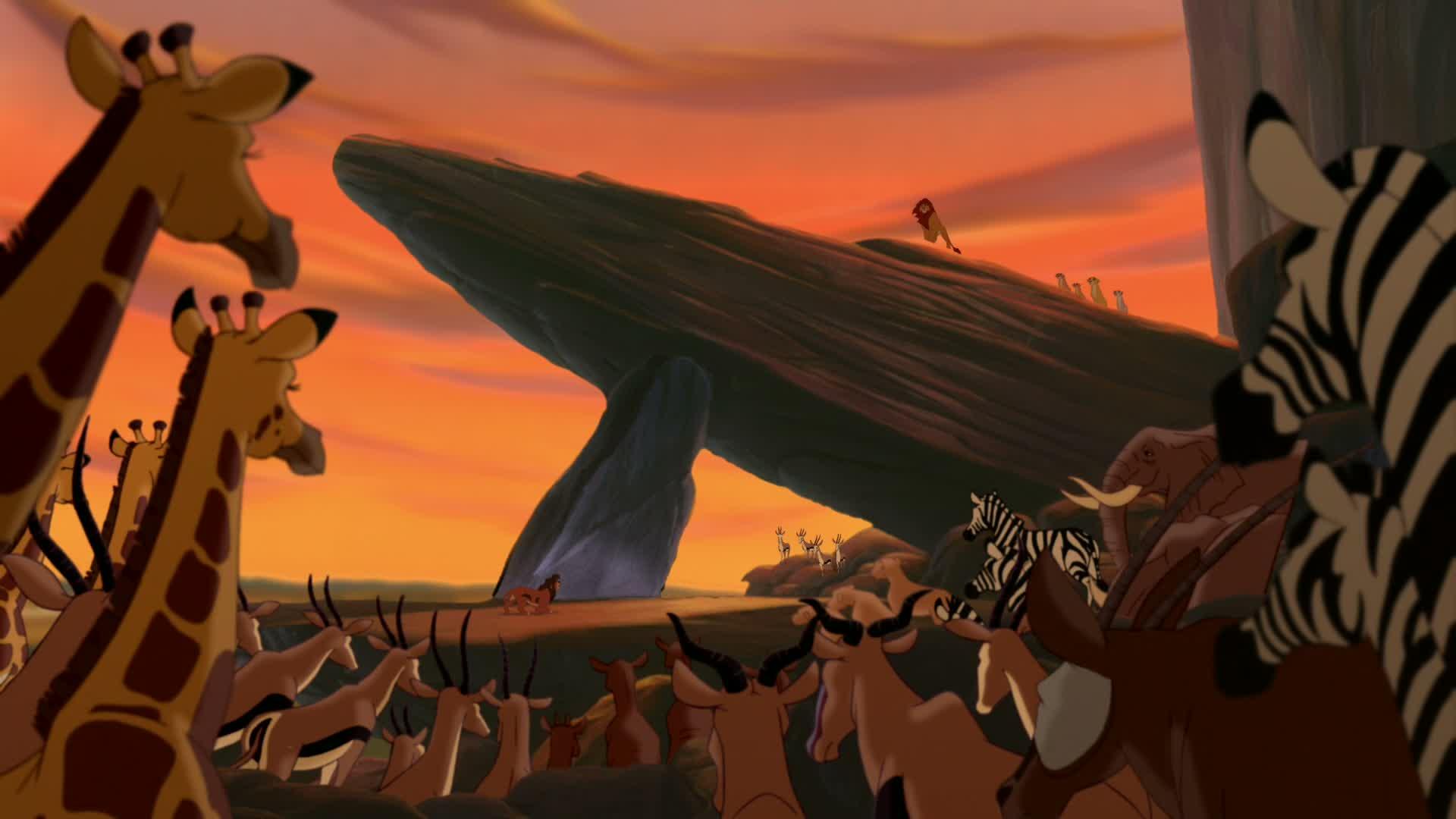 Why have you come backSimba I had nothing to do withYou don't belong ...