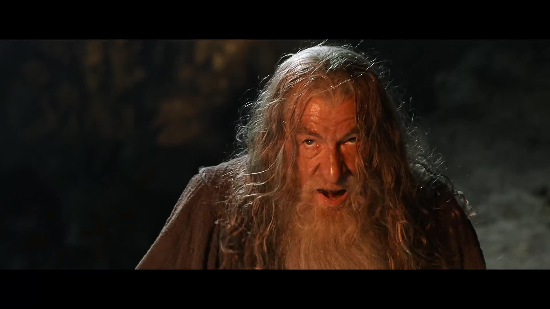 "You shall not pass!" - The Lord of the Rings: The Fellowship of the ...