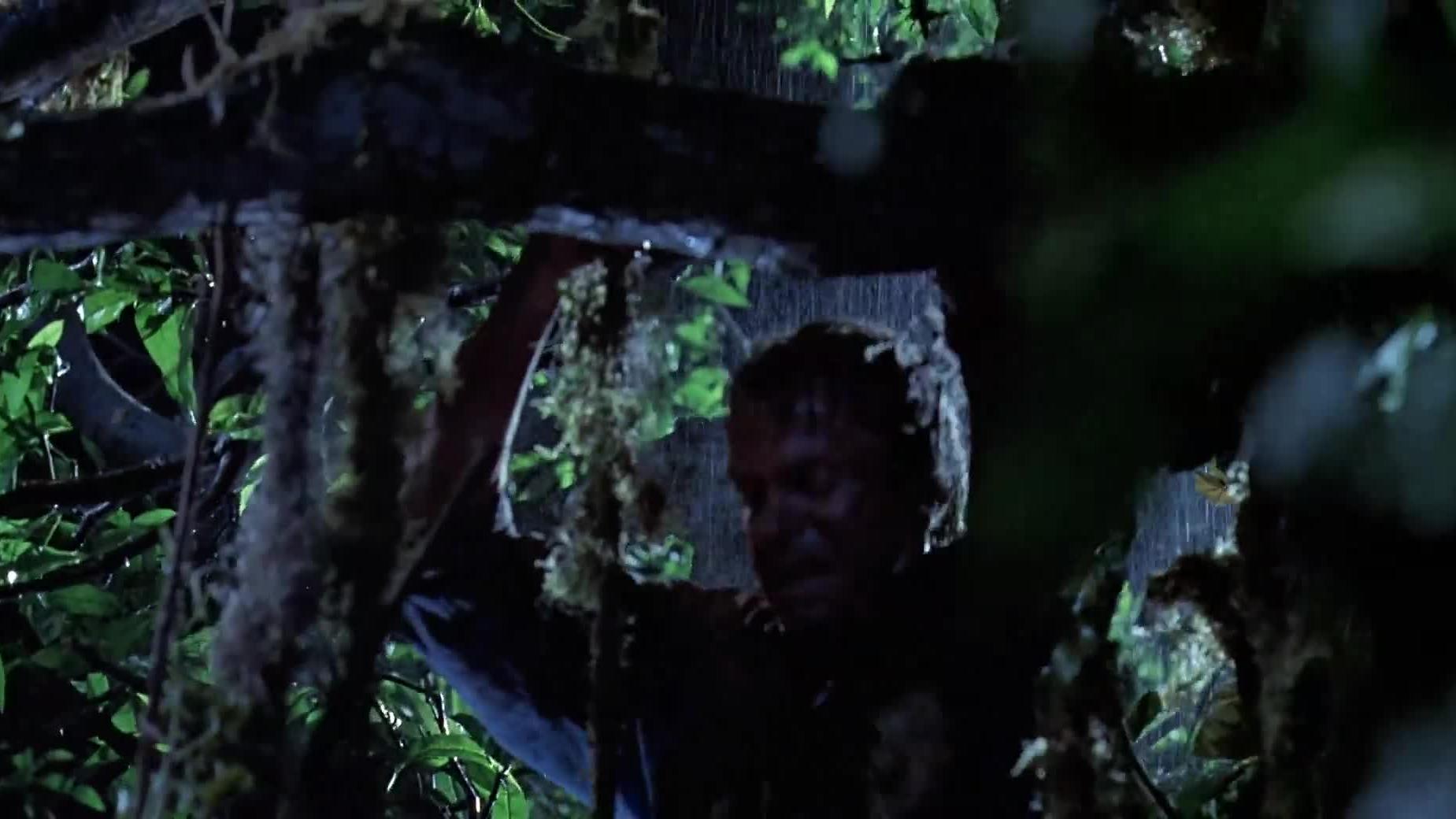 You hear me?I'm coming up. I hate climbing.I hate trees, way too high ...