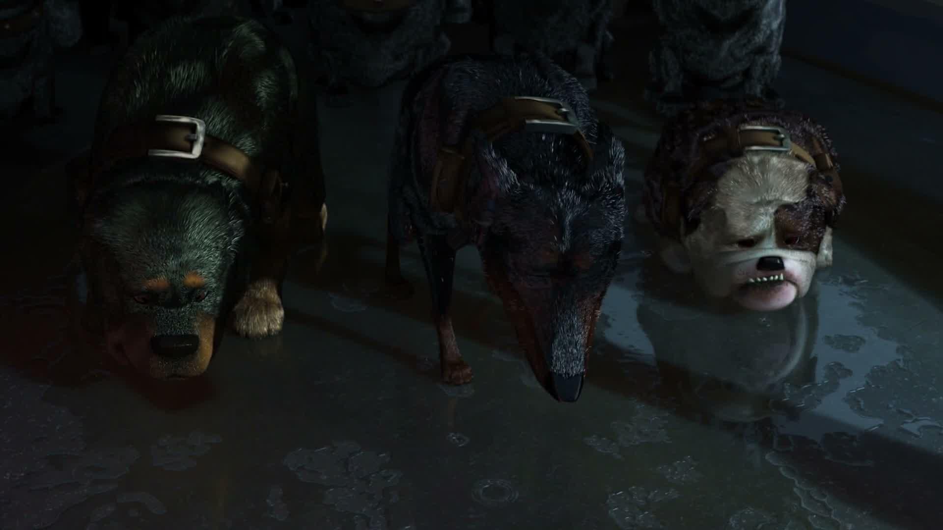 Oh boy, my Pack isn't following us. Boy are they dumb. - Up | Clip.Cafe