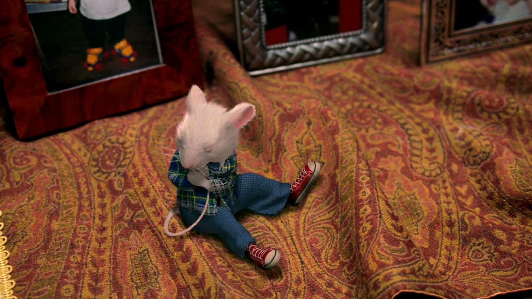 Stuart is one of the family now. We do not eat family members. - Stuart ...