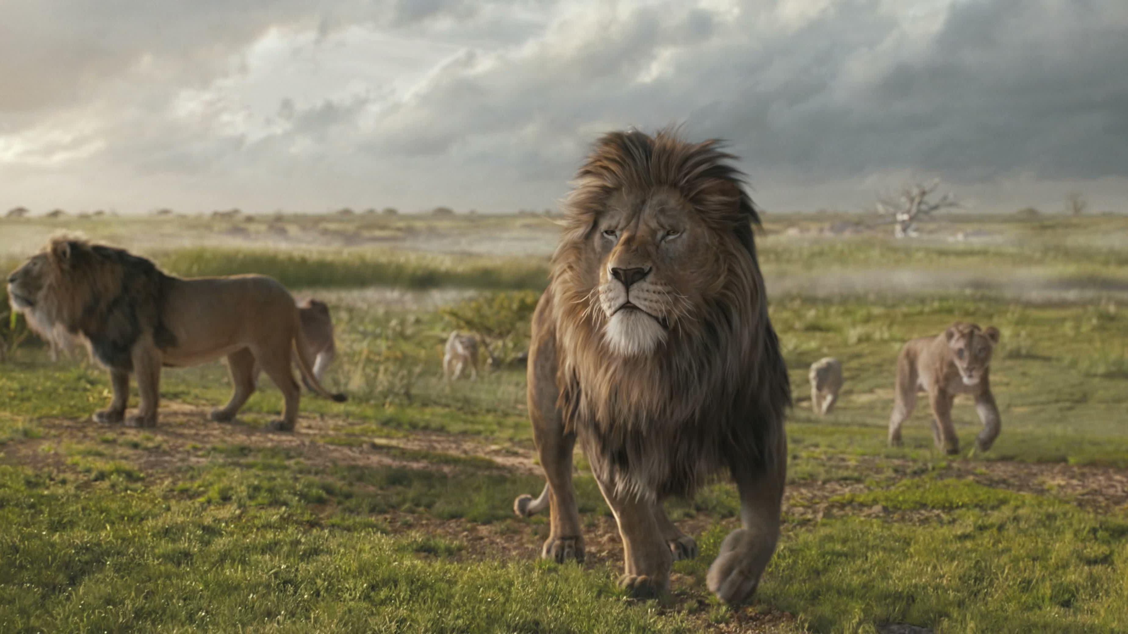 Bye bye - Mufasa: The Lion King | Clip.Cafe
