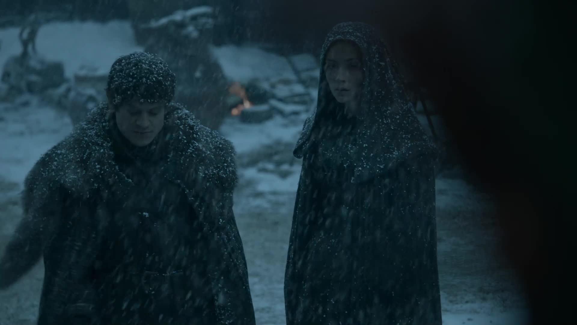 Your northern friend. Reek told me you wanted to leave. Why? Winterfell ...