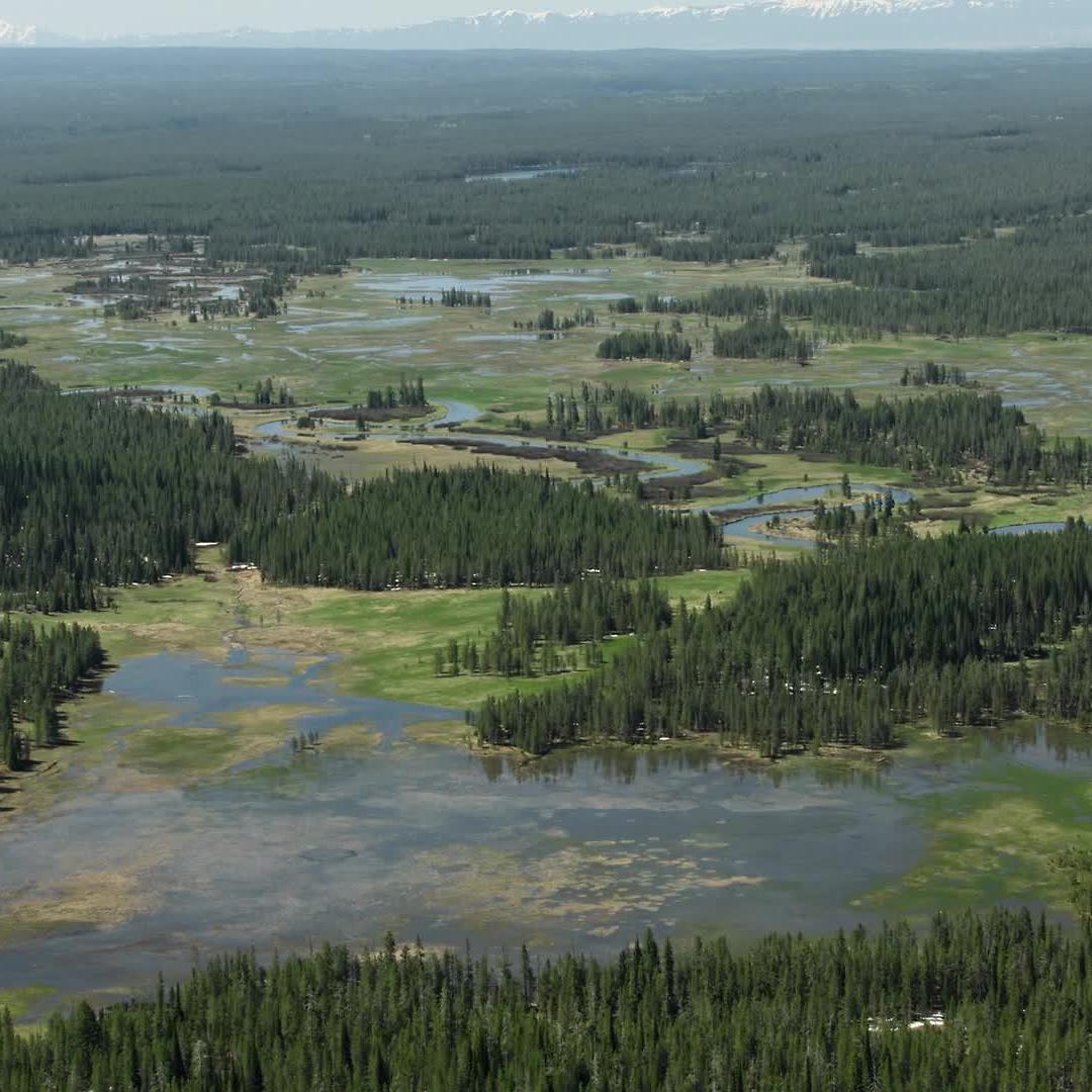 "Across this vast continent, there are over 100,000 square milesof ...